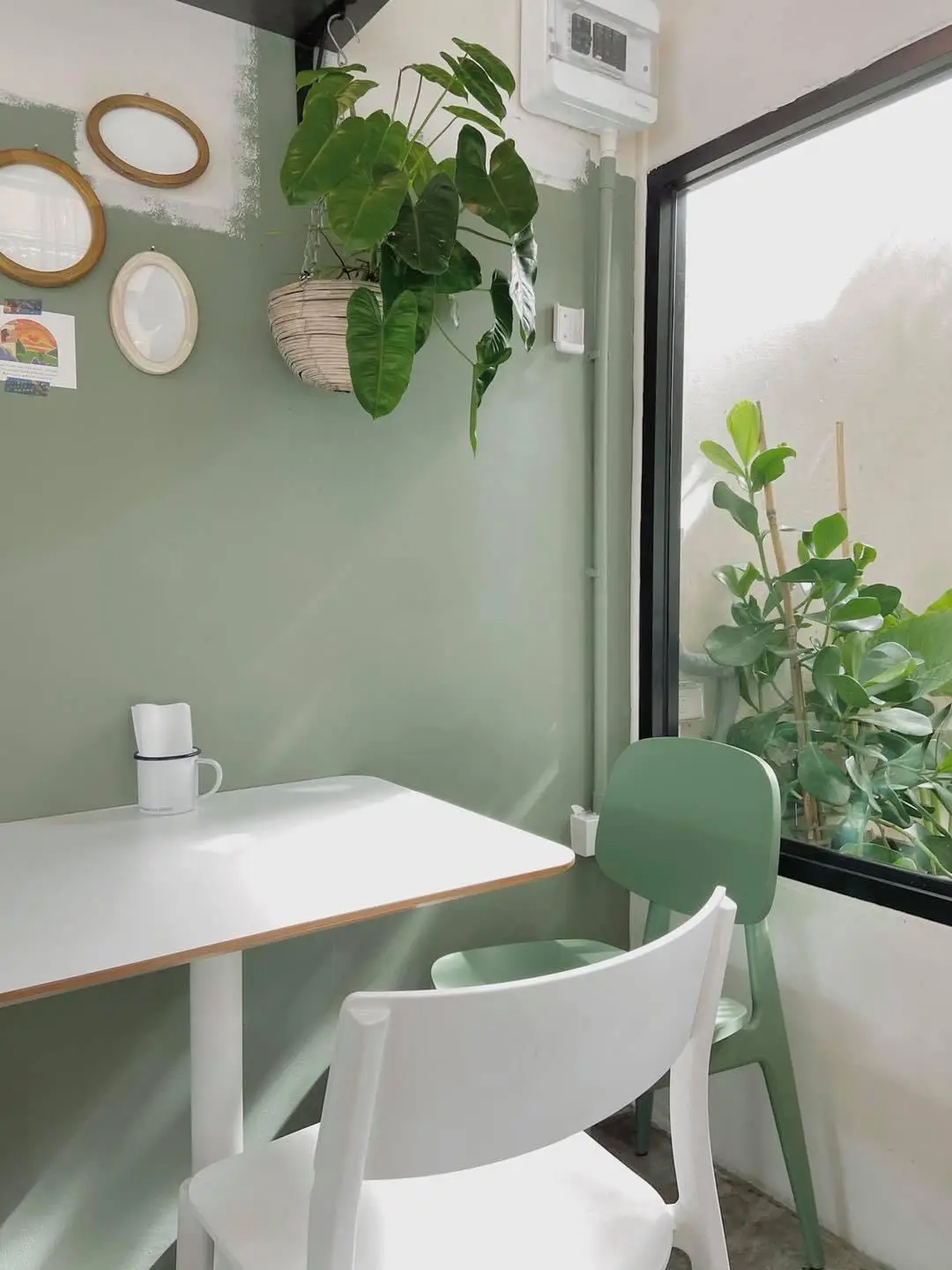 Chalamx - การค้นหาใน Lemon8