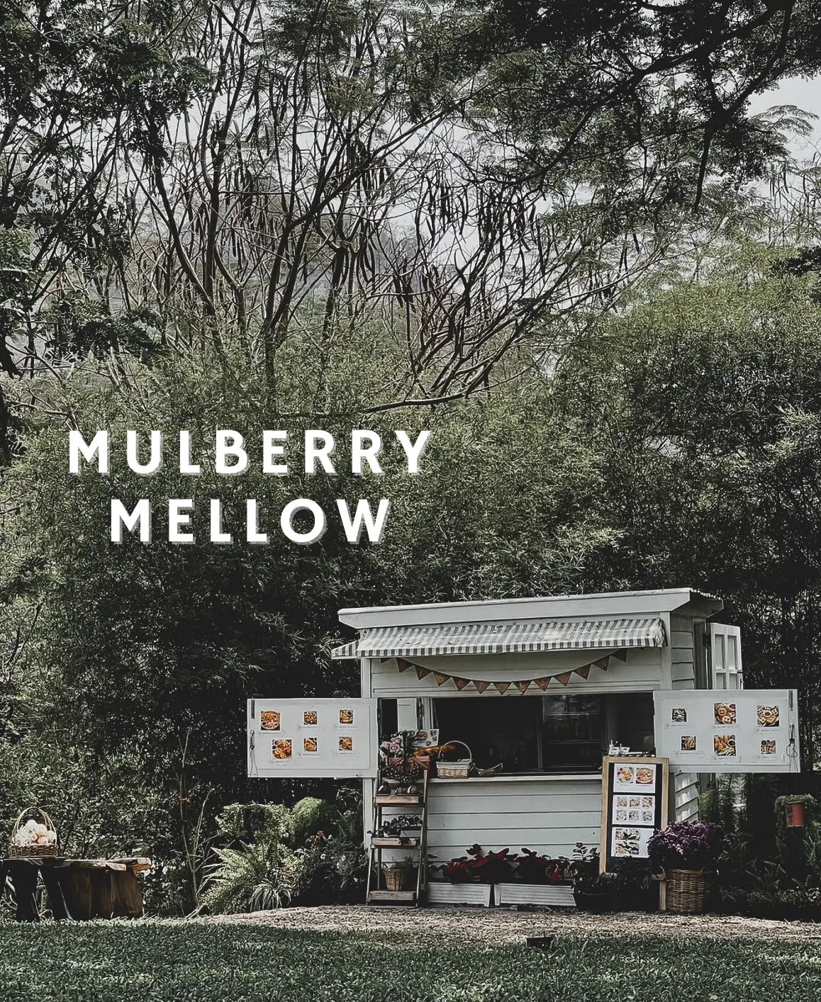 Mulberry Mellow Cafe★彡 | แกลเลอรีที่โพสต์โดย Khaimookncn | Lemon8