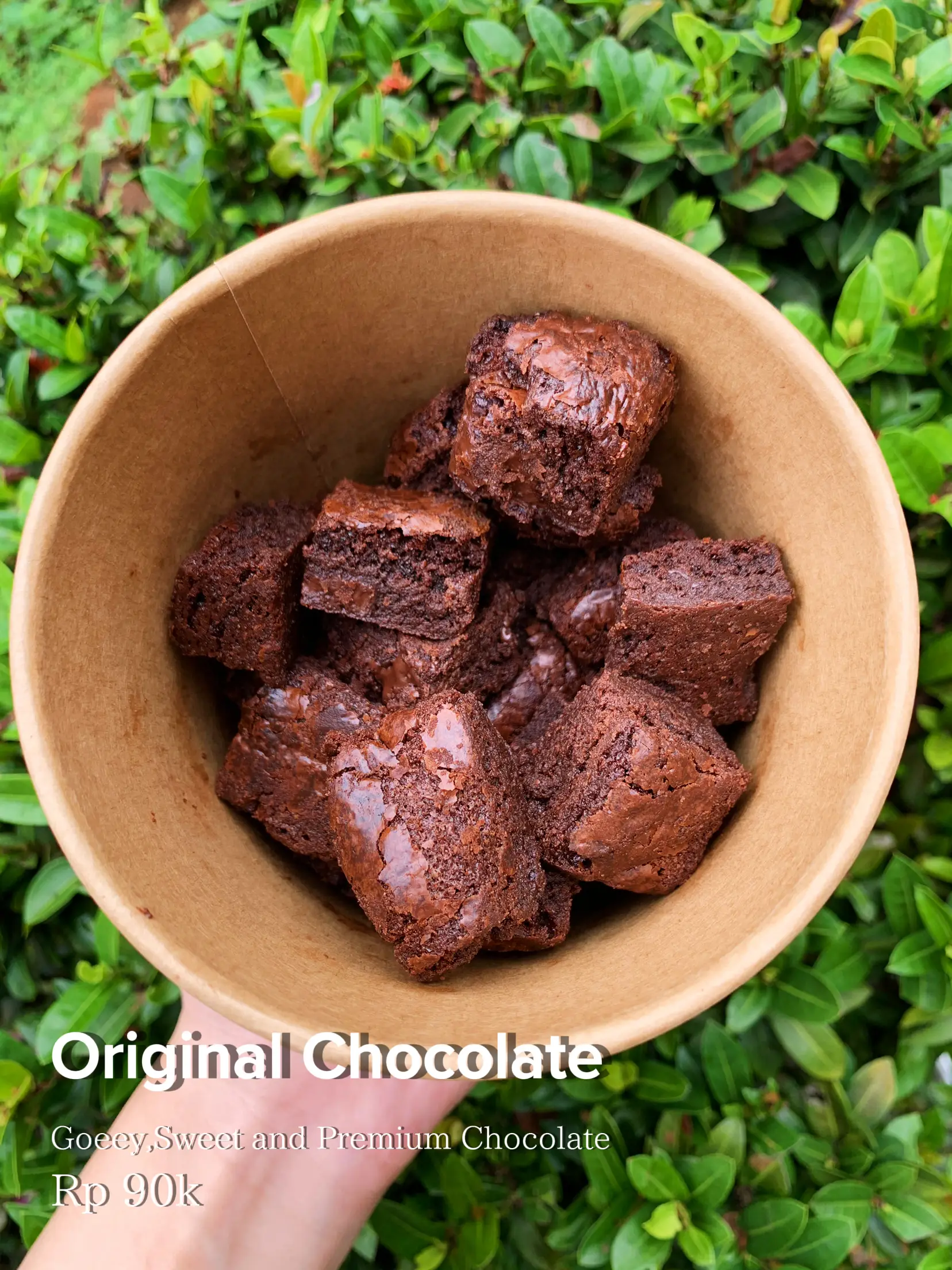 Brownies Hits Selebgram Cantik Alea Malika! | Galeri diposting oleh 𝑭𝒓𝒊𝒅𝒂𝒚 𝑴𝒆𝒂𝒓𝒍 | Lemon8