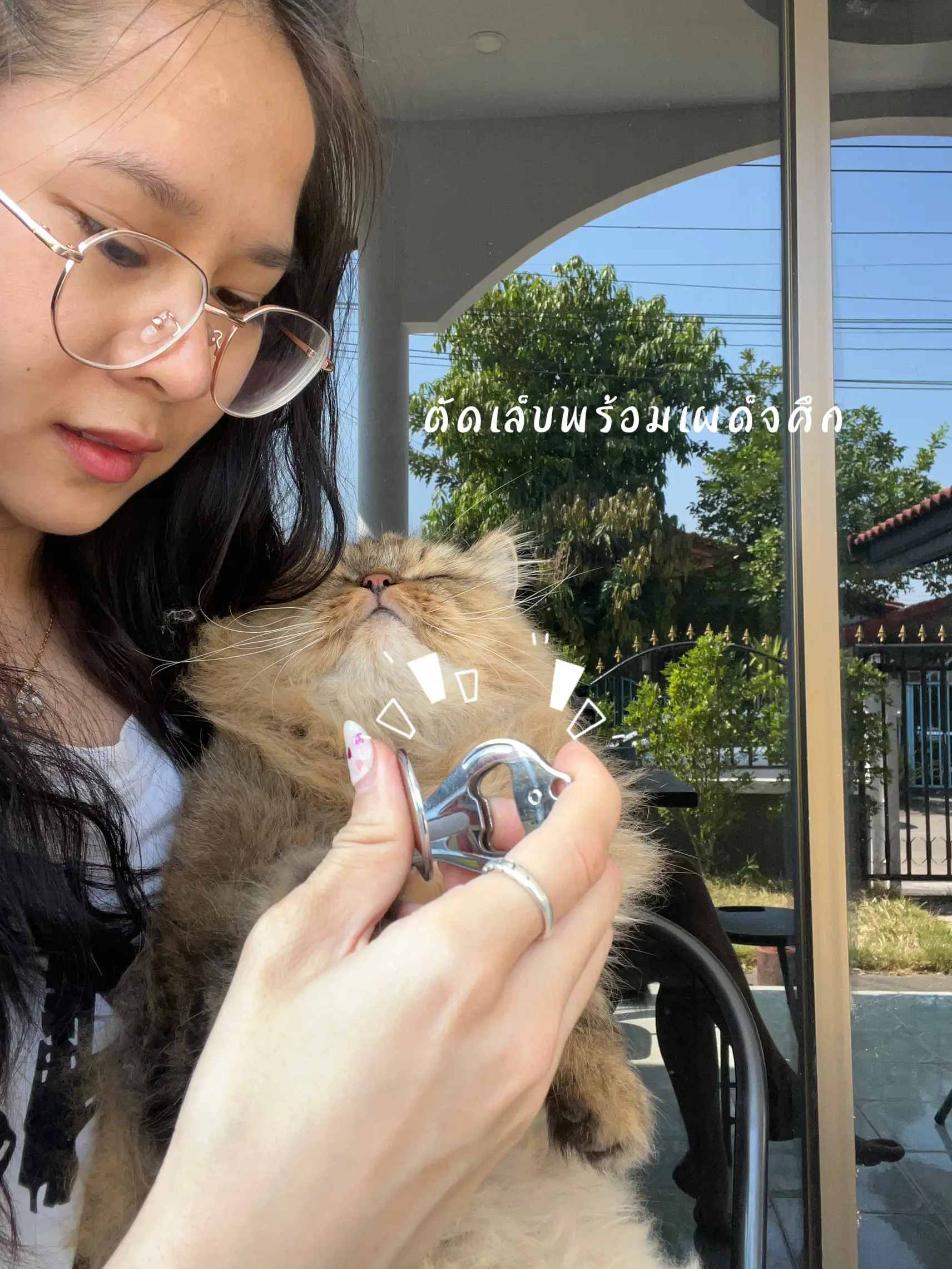 อาบน้ำให้แมวเจ้าที่กันค้าาา😻 ️ | แกลเลอรีที่โพสต์โดย Cap.ji | Lemon8