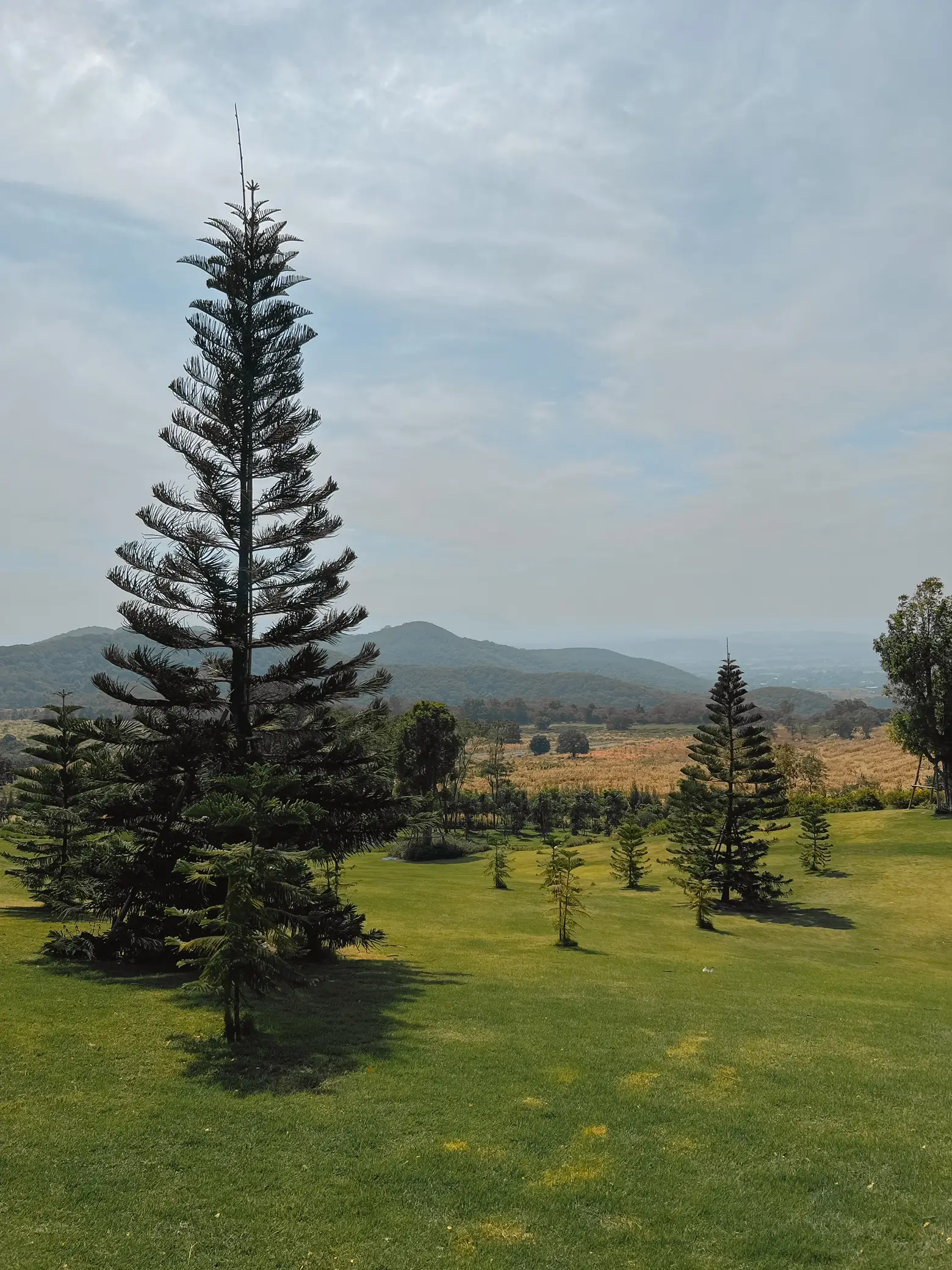 ไร่ภูนับดาว Phu Nab Dao CaféFa | แกลเลอรีที่โพสต์โดย OIL | Lemon8