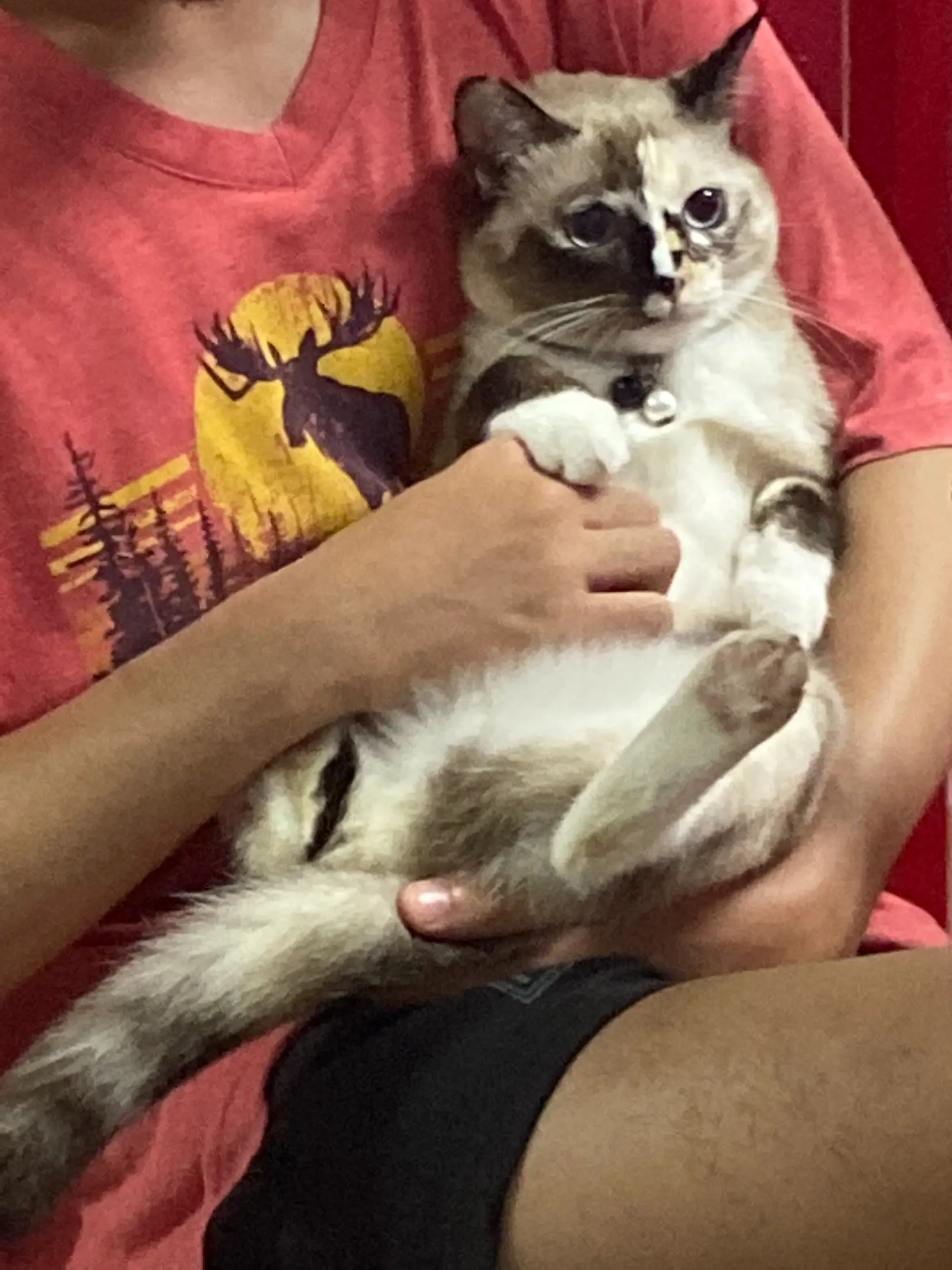 มาแนะนำตัวค่ะ | แกลเลอรีที่โพสต์โดย The.most_home | Lemon8