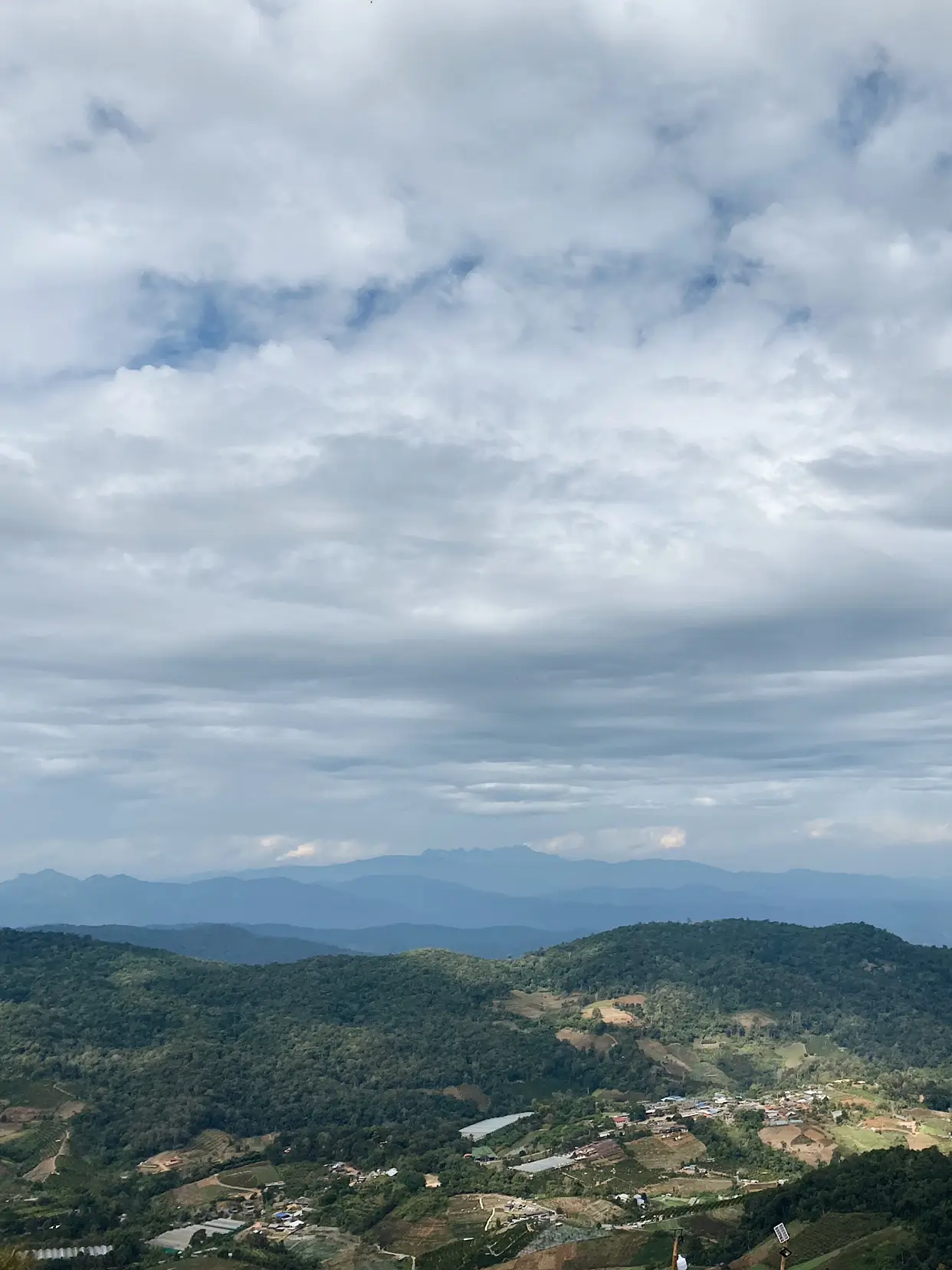 CNX trip at yingyong flower garden 🌷🤍 | แกลเลอรีที่โพสต์โดย Janniejann ...