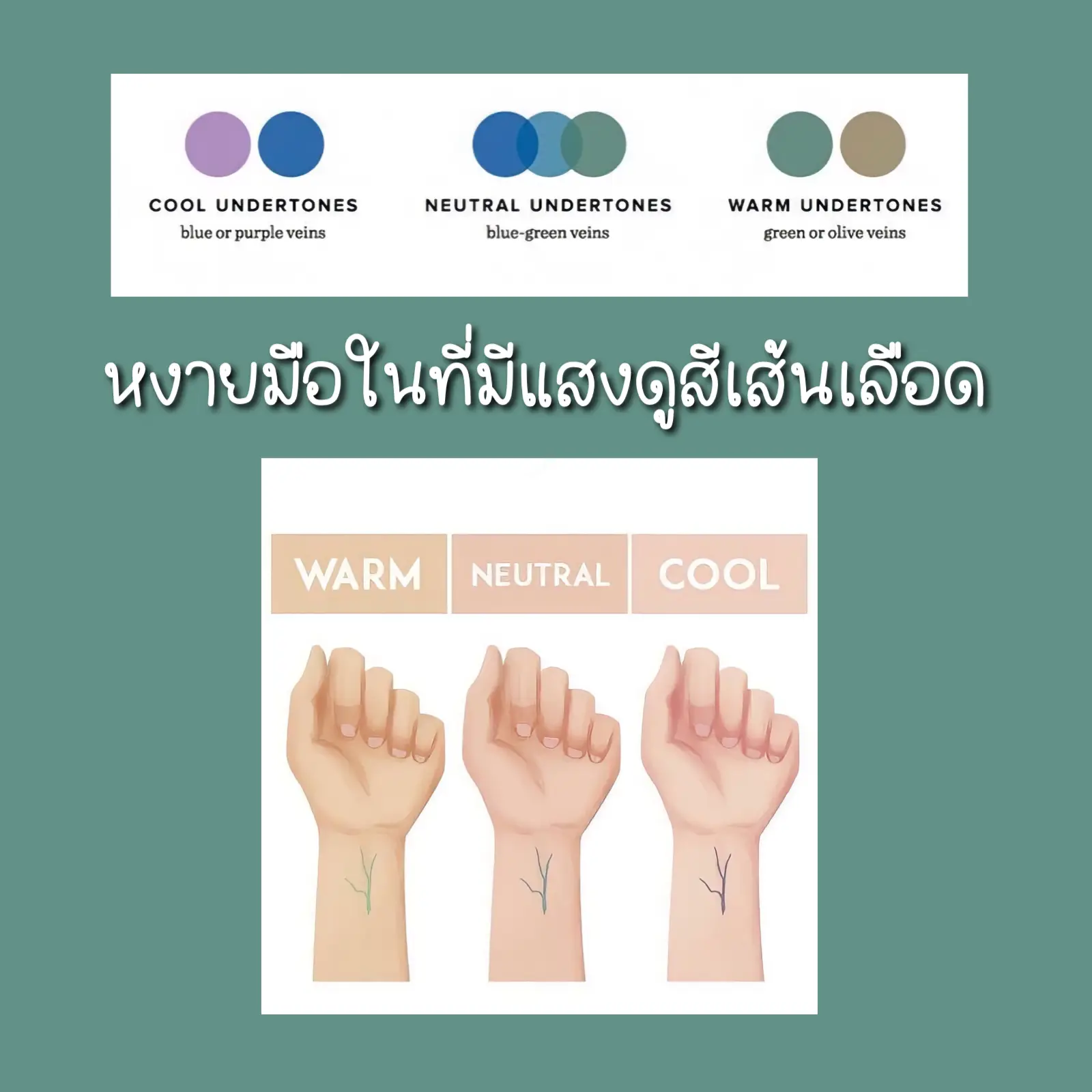 หน้าหมองไม่รู้ตัว! ควรแต่งหน้า Warm tone หรือ Cool tone ดี? | แกลเลอรี ...