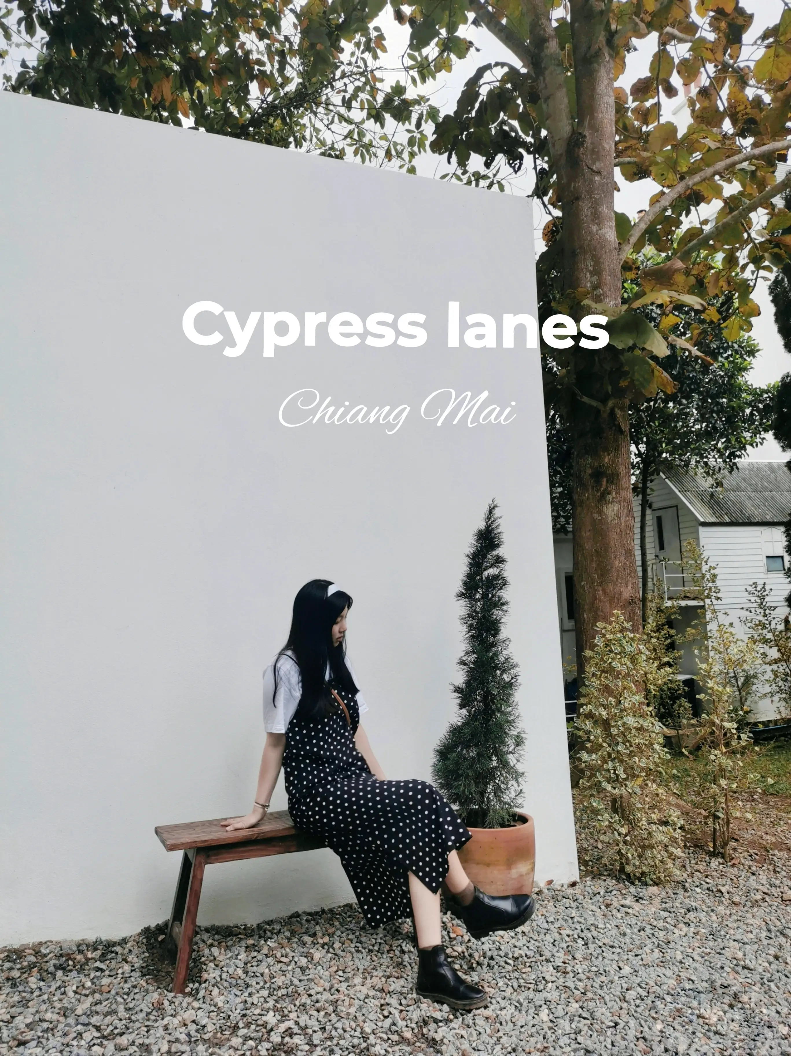 คาเฟ่ Cypress lanes - เชียงใหม่ | แกลเลอรีที่โพสต์โดย me.c | Lemon8