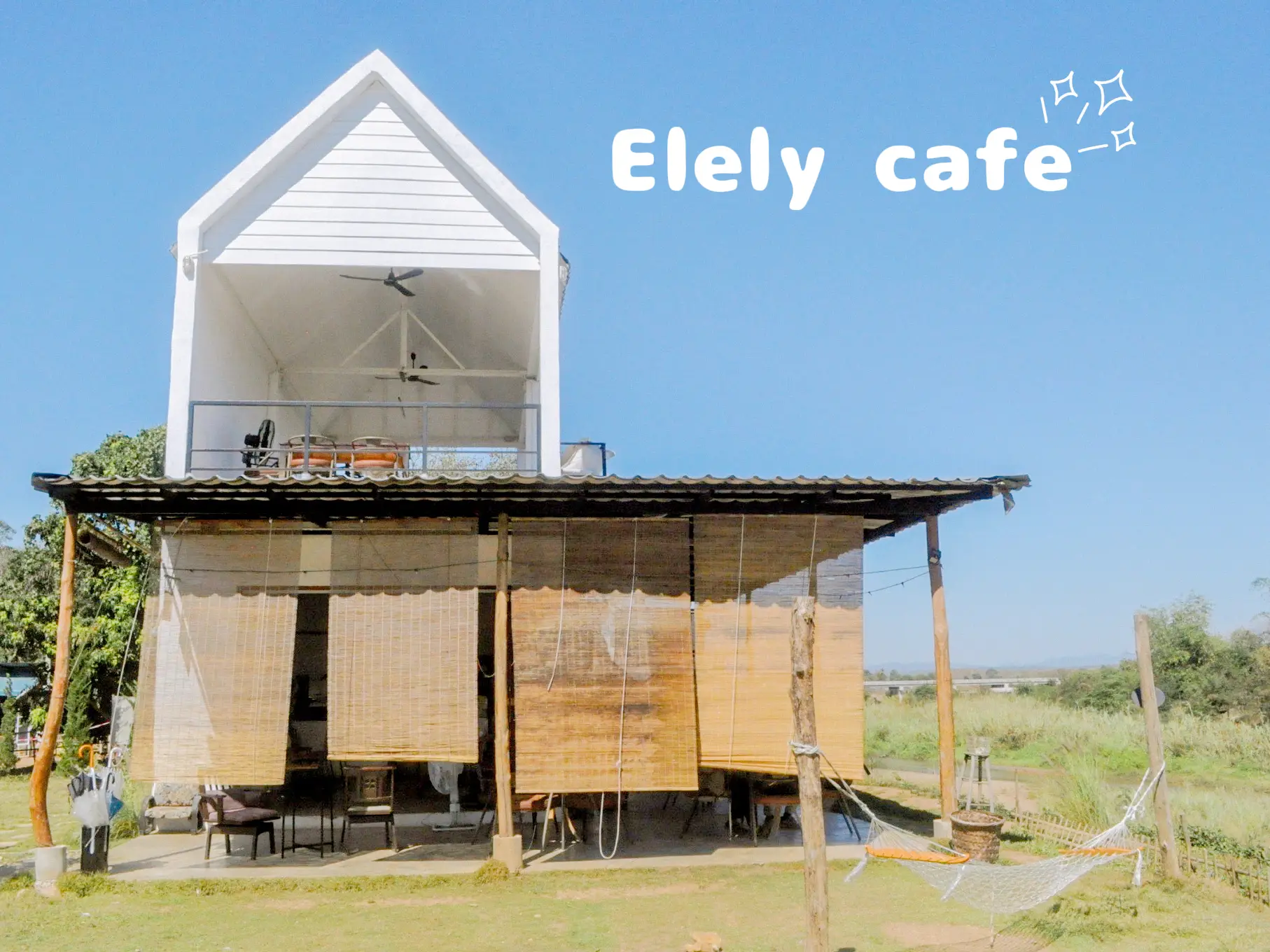 รักหมา รักช้าง ตามไปเลยที่ Elely Cafe’ | แกลเลอรีที่โพสต์โดย ...