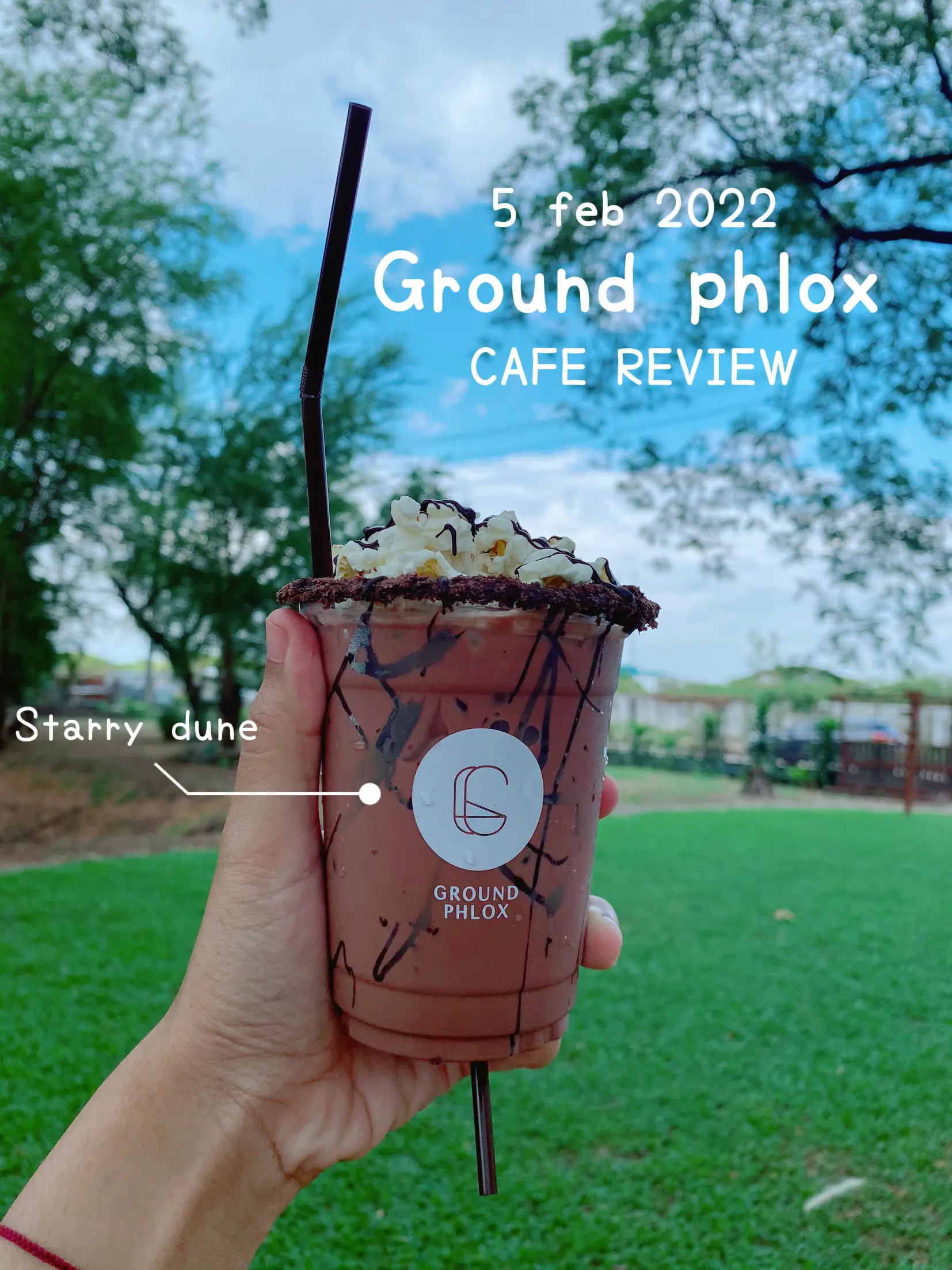 Ground phlox -cafe | แกลเลอรีที่โพสต์โดย paak | Lemon8