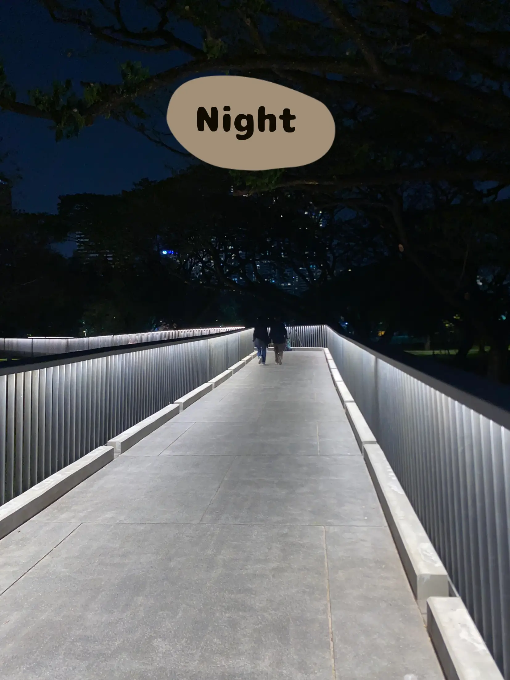 มุมลับๆของสวนเบญจกิติ 🪴 | แกลเลอรีที่โพสต์โดย na.naan | Lemon8