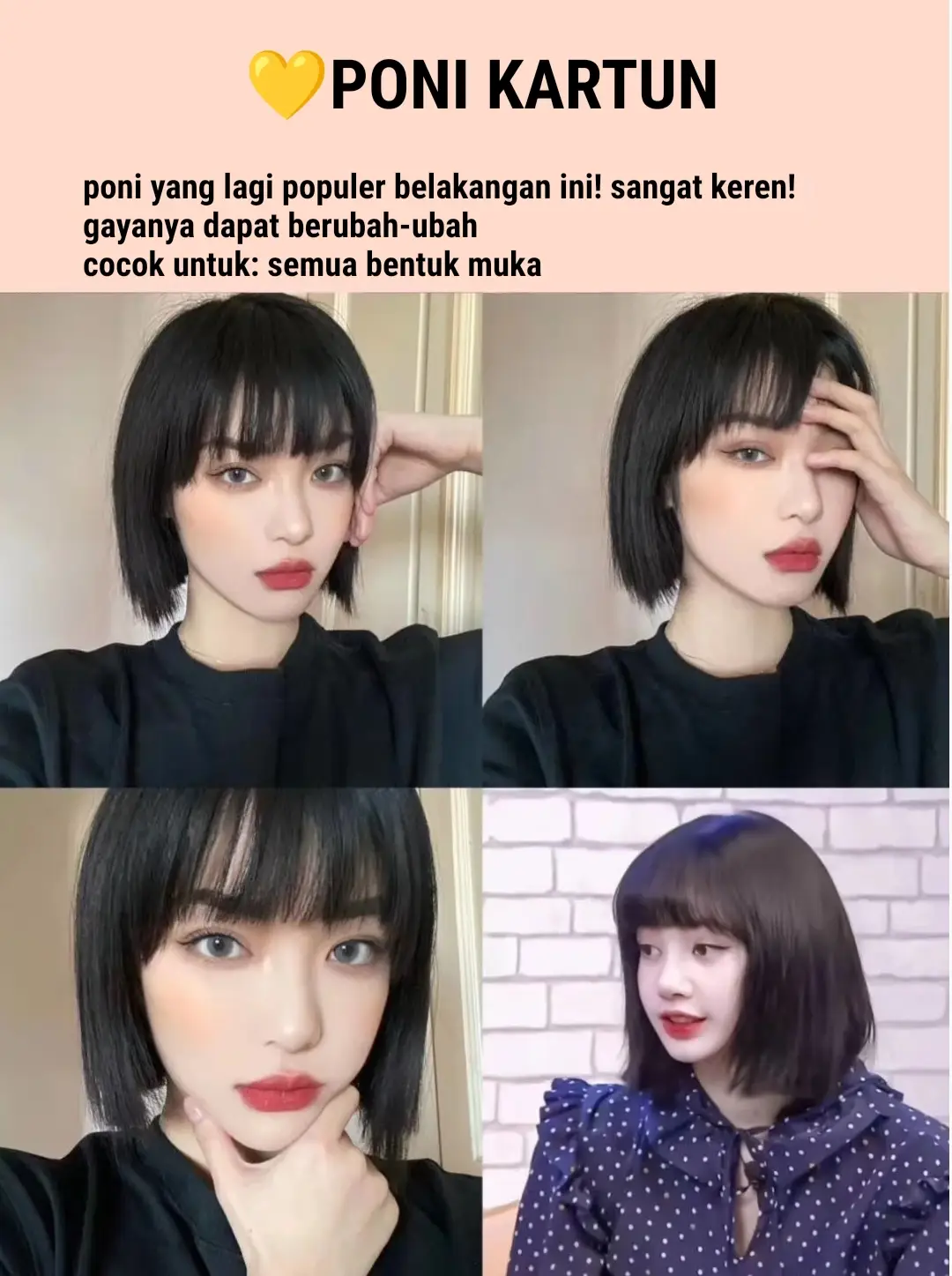 KUMPULAN MODEL PONI 💇‍♀️ | Galeri diposting oleh hairluv | Lemon8