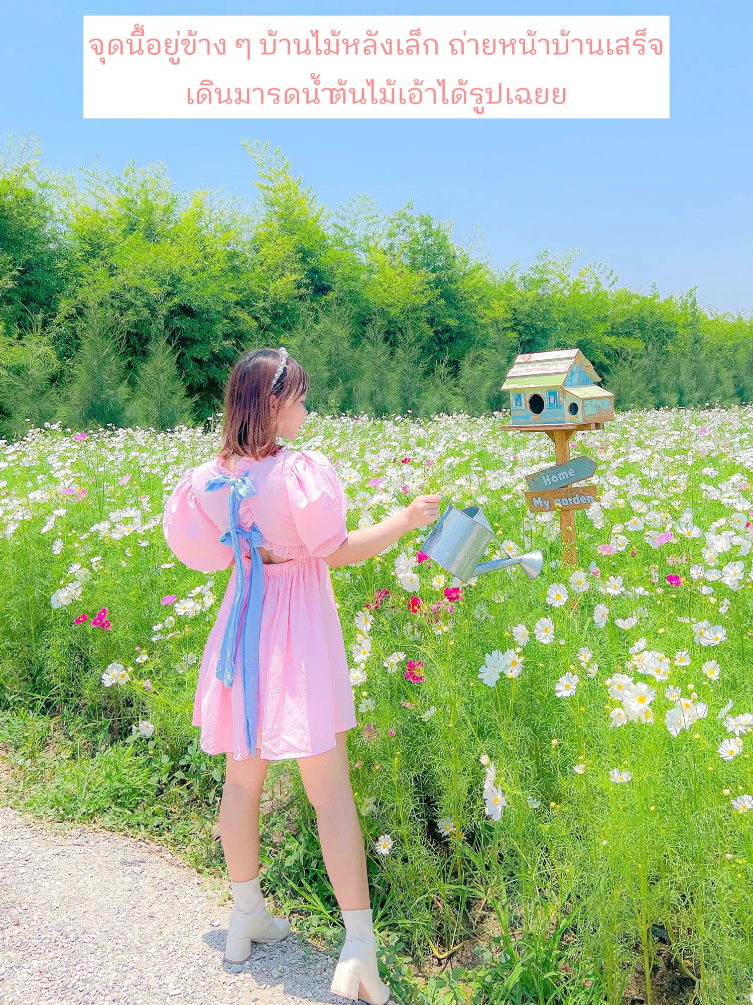 บอกจุดถ่ายรูปสวนดอกไม้ 𝐁𝐚𝐚𝐧 𝐑𝐚𝐢 𝐍𝐚𝐢 𝐑𝐮𝐧𝐠 พร้อมท่าโพส 🌷📸 | แกลเลอรีที่ ...