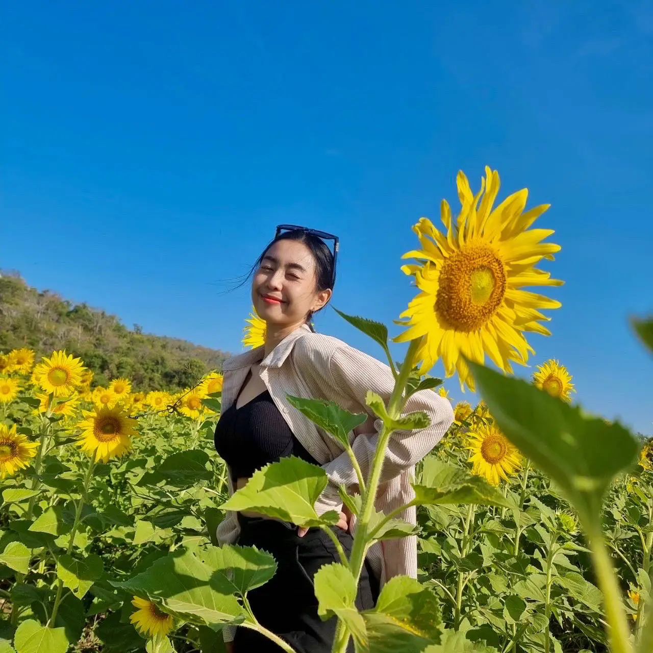 ณ ทุ่งทานตะวัน ต.แตง ~ | แกลเลอรีที่โพสต์โดย AUN_AUN | Lemon8