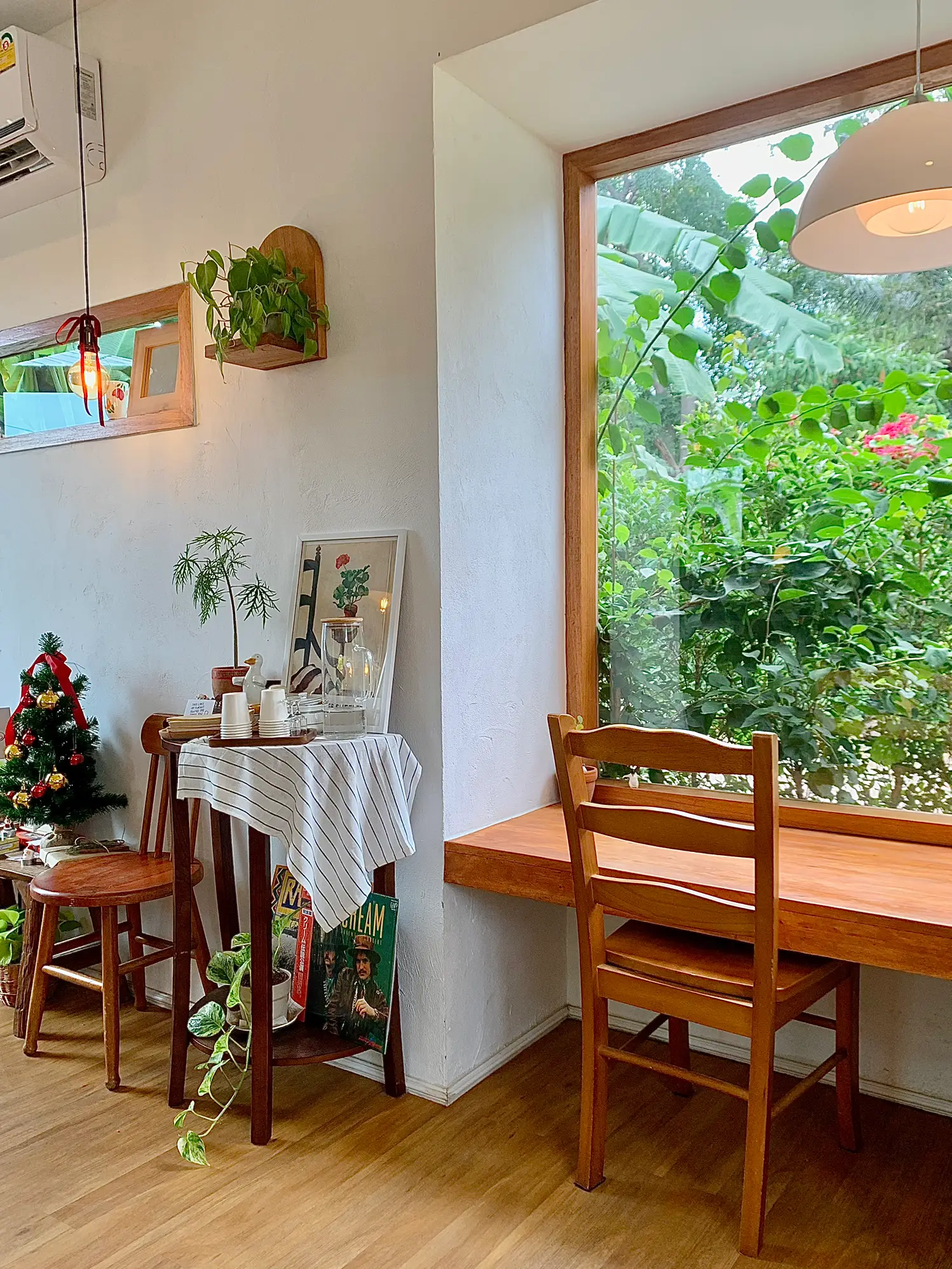 Molly Coffee Stand 🐶 น่ารักจนใจเจ็บ สัตว์เลี้ยงเข้าได้ด้วย | แกลเลอรี ...