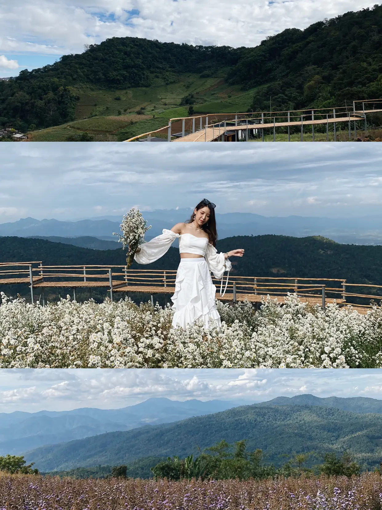 CNX trip at yingyong flower garden 🌷🤍 | แกลเลอรีที่โพสต์โดย Janniejann ...