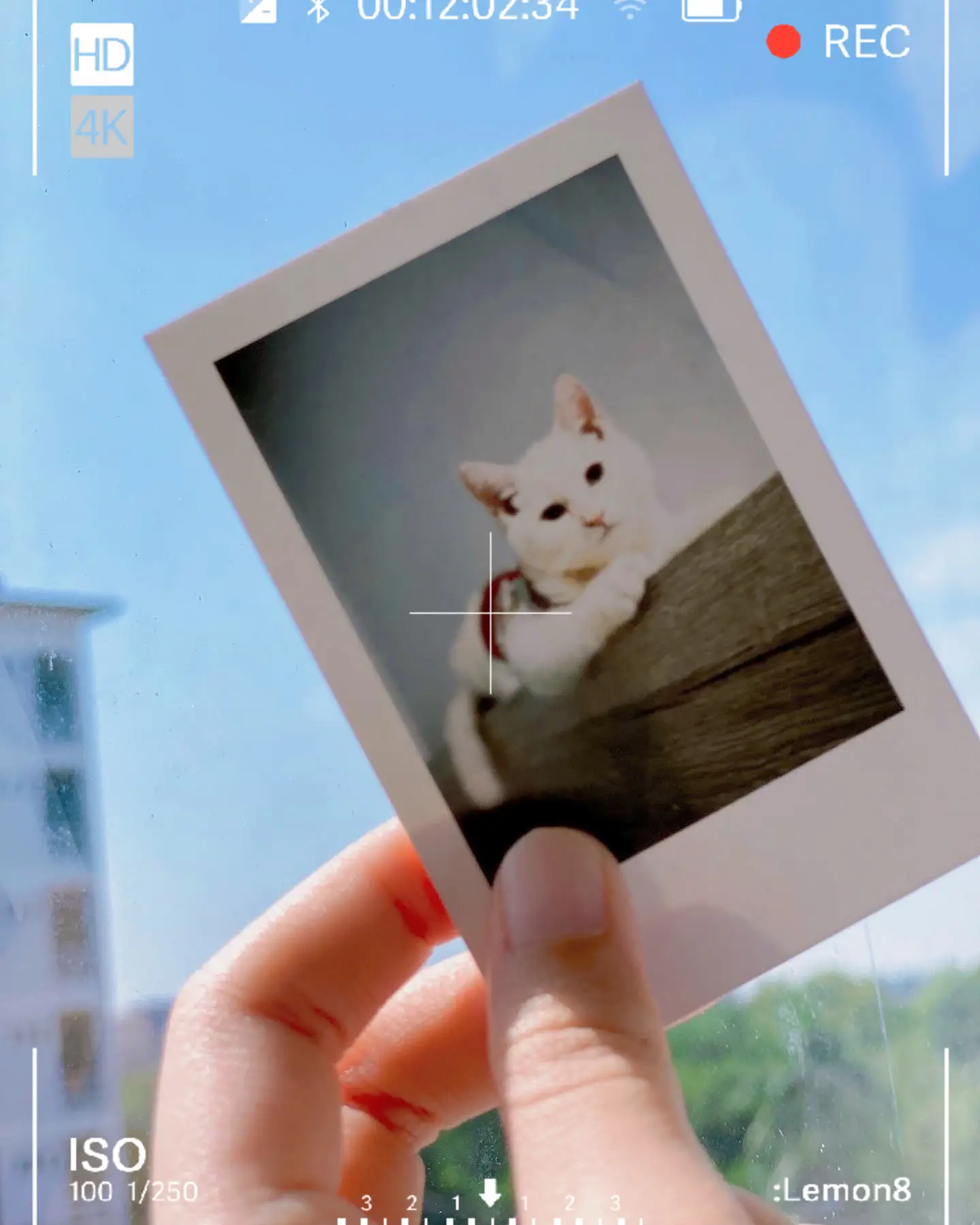 รีวิว Photo Card , ภาพแคนวาส จาก Lalapix | แกลเลอรีที่โพสต์โดย yanikn 🌻 ...
