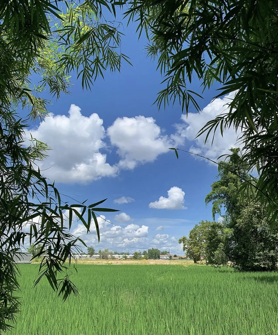 ☕️The cafe review again. | Gallery posted by foodiethairosie | Lemon8