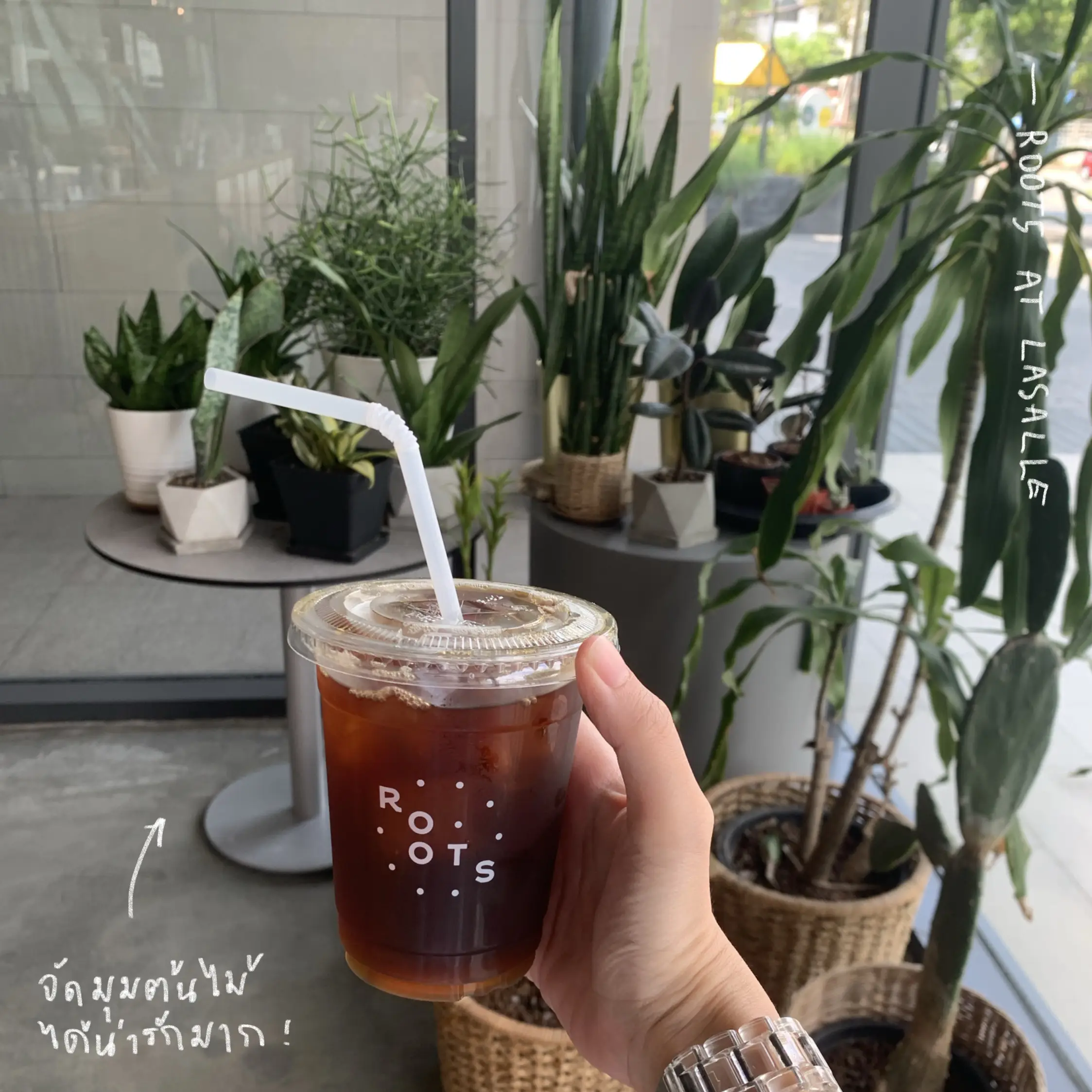 ปัง หรือ พัง? | พาคนไม่ดื่มกาแฟมา Roots coffee | แกลเลอรีที่โพสต์โดย ...