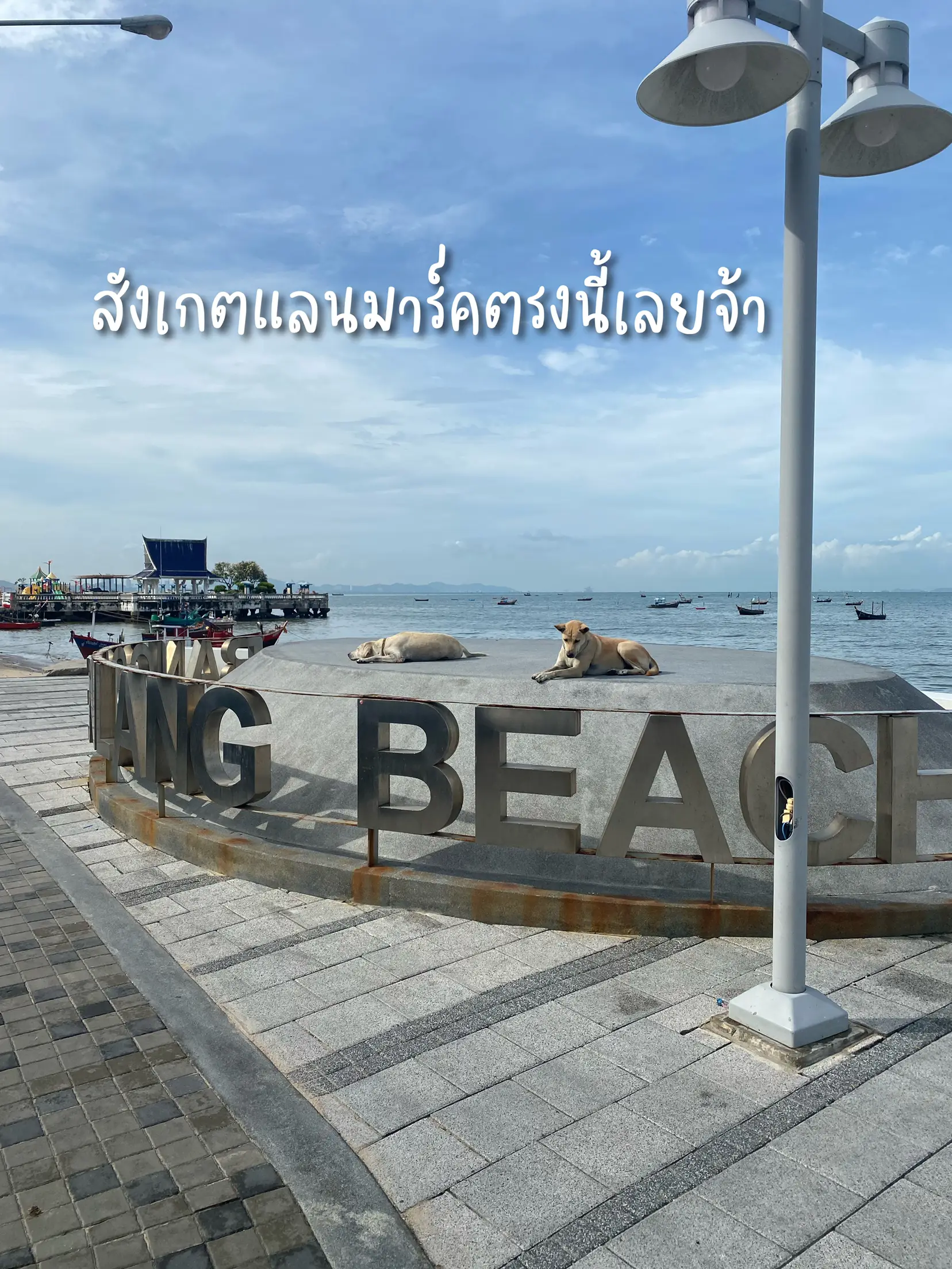 ☀️🏝 แนะนำที่พักวิวทะเล งบประหยัด @บางแสน | แกลเลอรีที่โพสต์โดย PLOY KNC ̈ | Lemon8