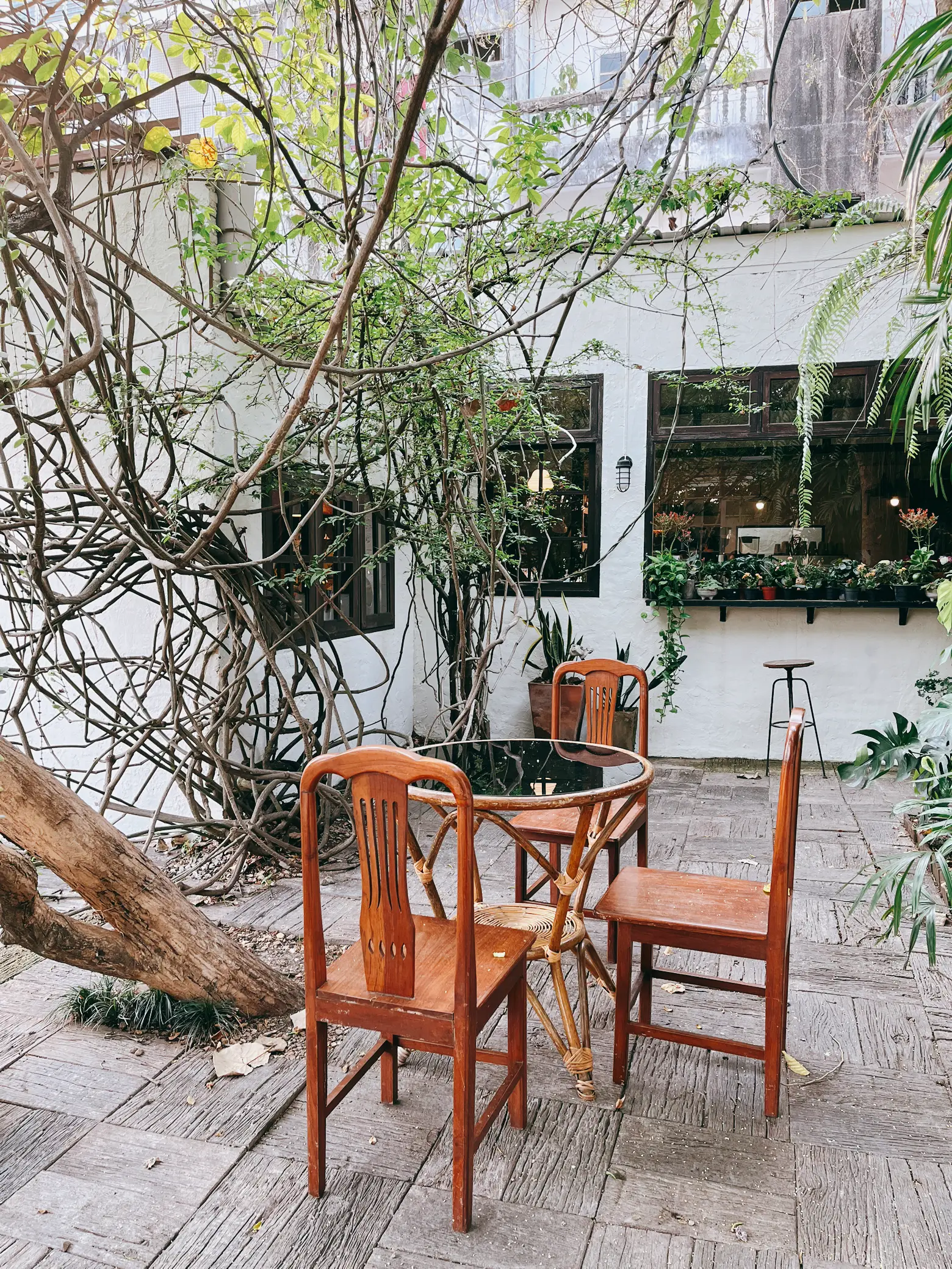 Charlotte hut coffee ร้านกาแฟ no.1 ของเมืองแพร่ ☕️ | แกลเลอรีที่โพสต์ ...