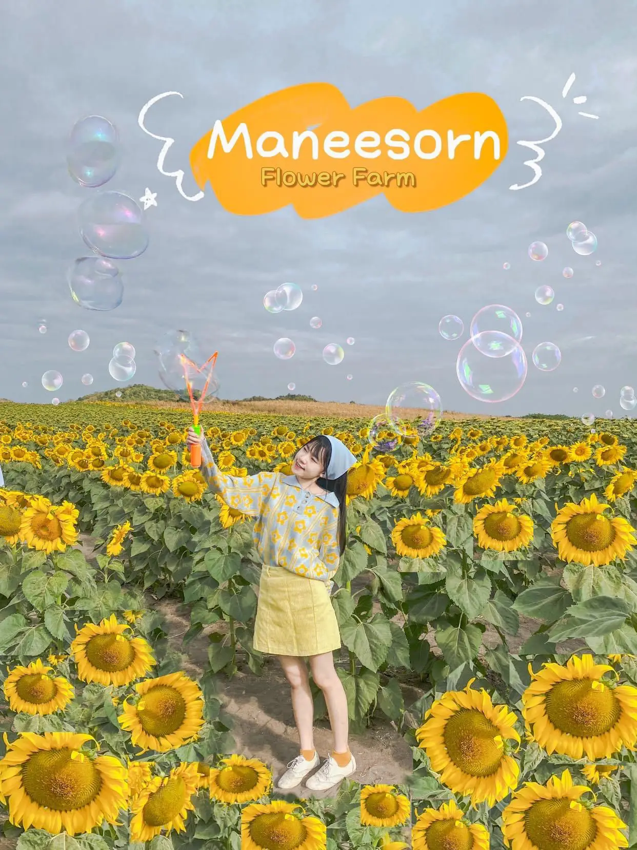 Sunflower Farm Tanay Rizal | Best Flower Site