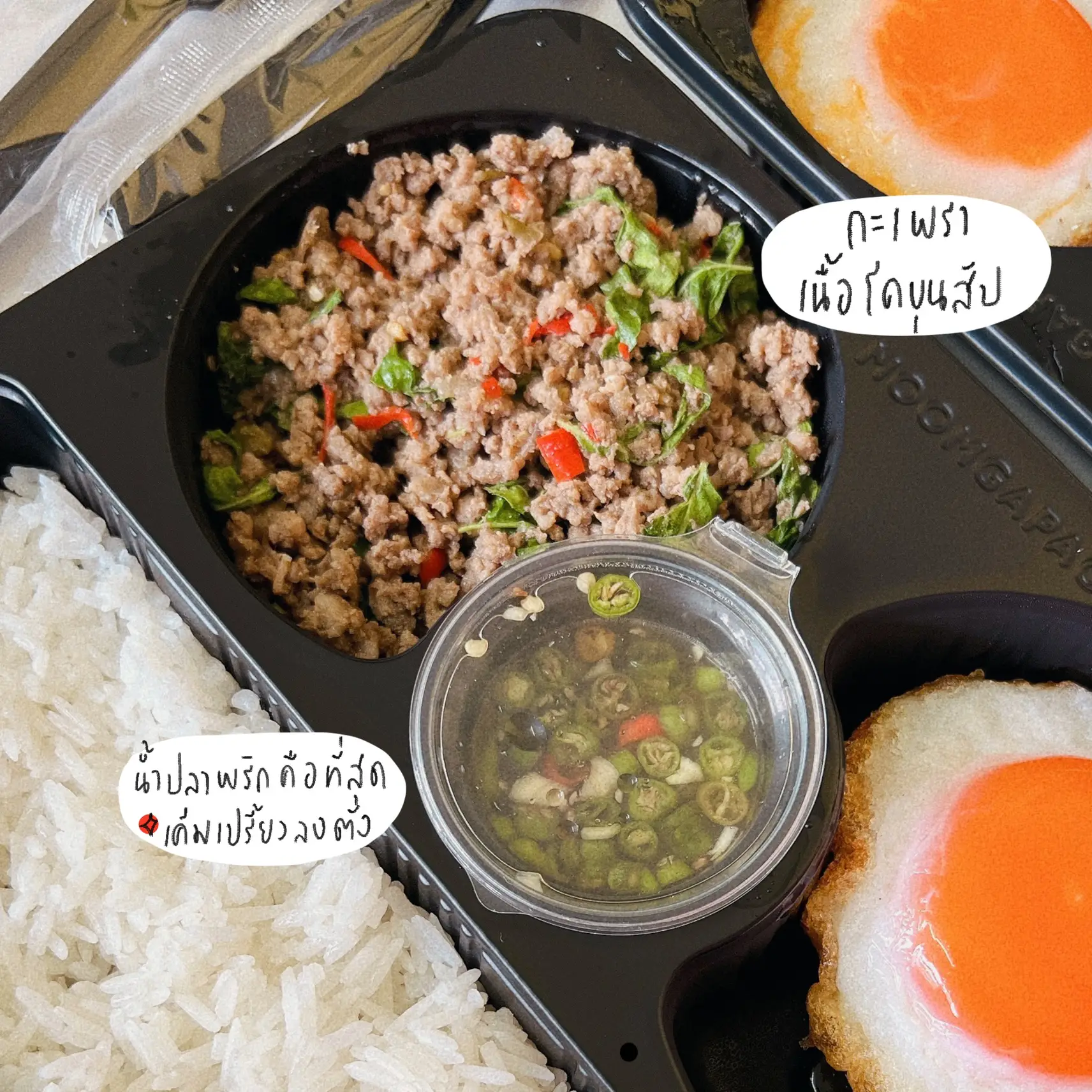 นึกถึงกะเพรา นึกถึงมุมกะเพรา ( Moomgapao ) | แกลเลอรีที่โพสต์โดย ก็พูดพูดไปงั้น | Lemon8