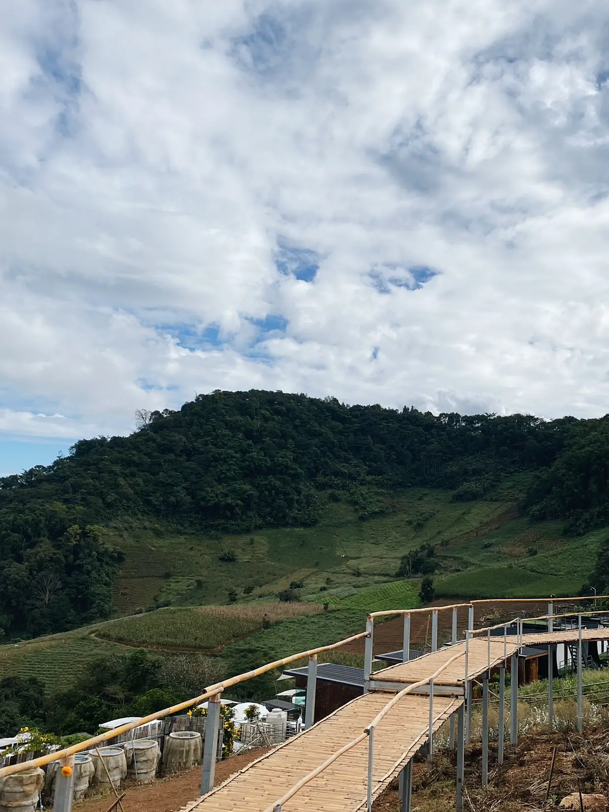 CNX trip at yingyong flower garden 🌷🤍 | แกลเลอรีที่โพสต์โดย Janniejann ...