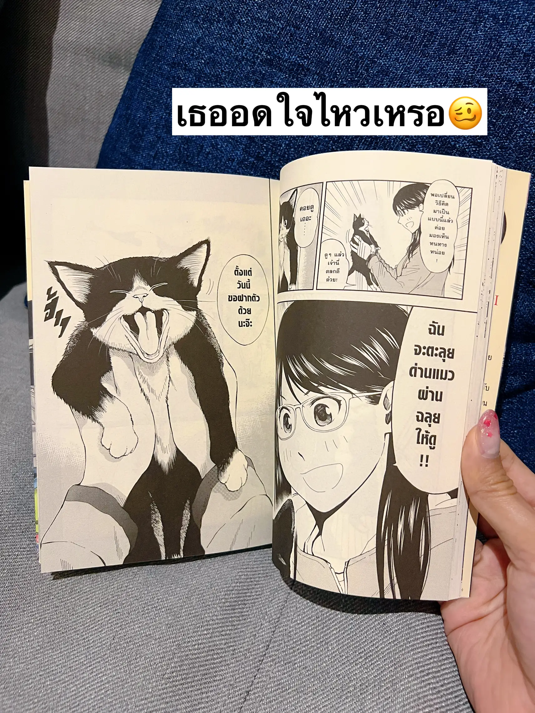 แนะนำมังงะสำหรับทาสแมว🐾🐈‍⬛ | แกลเลอรีที่โพสต์โดย Ung_ | Lemon8