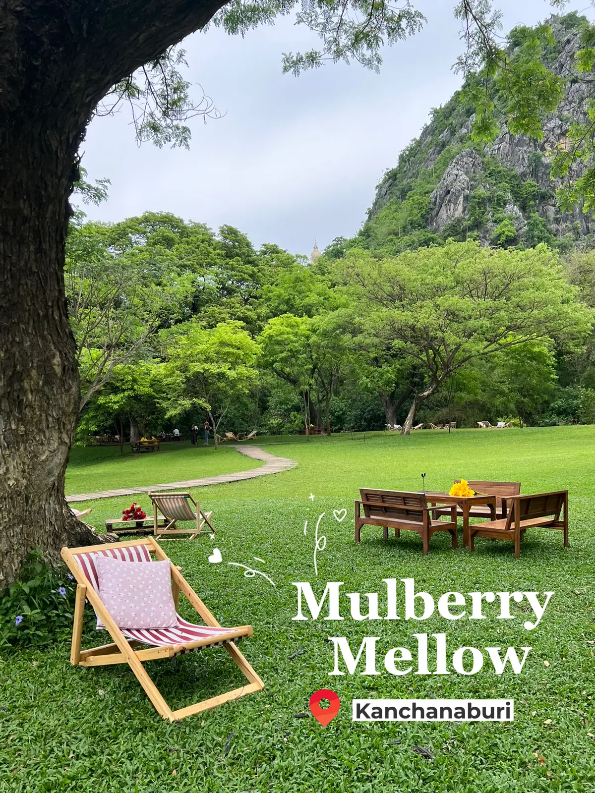 Mulberry Mellow คาเฟ่ที่เหมือนวาร์ปไปอยู่ยุโรป! ️⛰ | แกลเลอรีที่โพสต์ ...