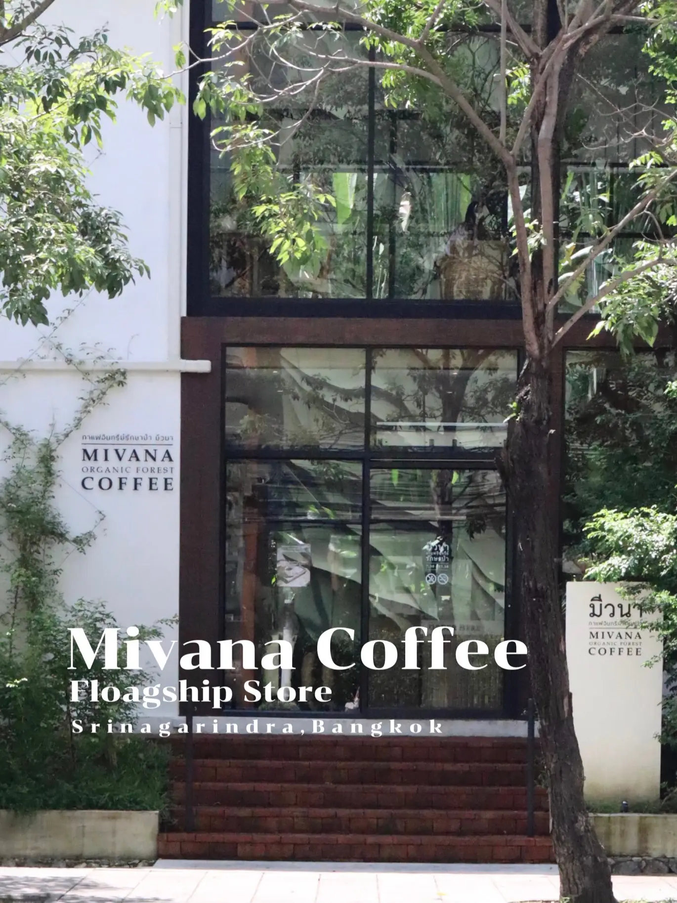 พาเช็คอิน!! คาเฟ่สไตล์ธรรมชาติๆที่ Mivana Coffee 🍃 | แกลเลอรีที่โพสต์ ...