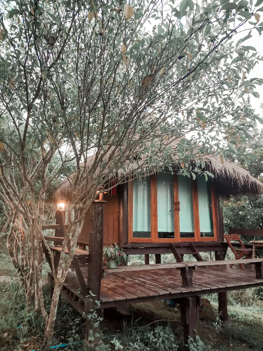 Morning call กับน้องช้าง @ The Chai Lai Orchid @ เชียงใหม่ | แกลเลอรีที่โพสต์โดย aomy | Lemon8