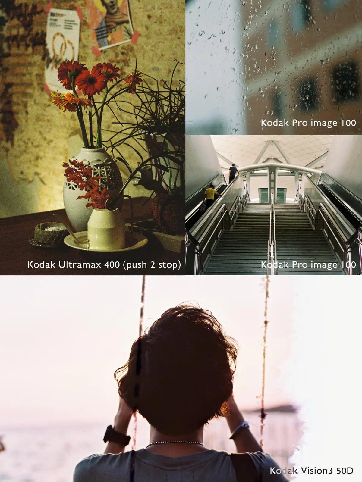 เปิดกรุกล้องฟิล์มที่รัก📸 | แกลเลอรีที่โพสต์โดย Aimmy | Lemon8