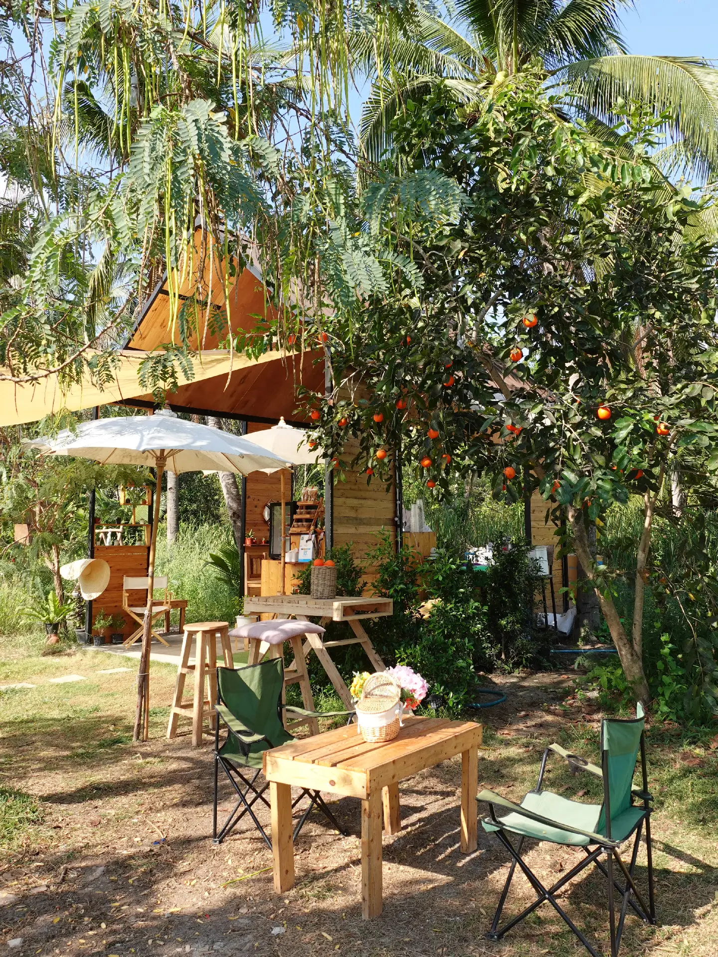 Slow Life Cafe ร้านกาแฟแนว Slow bar ใช้ moka pot | แกลเลอรีที่โพสต์โดย ...