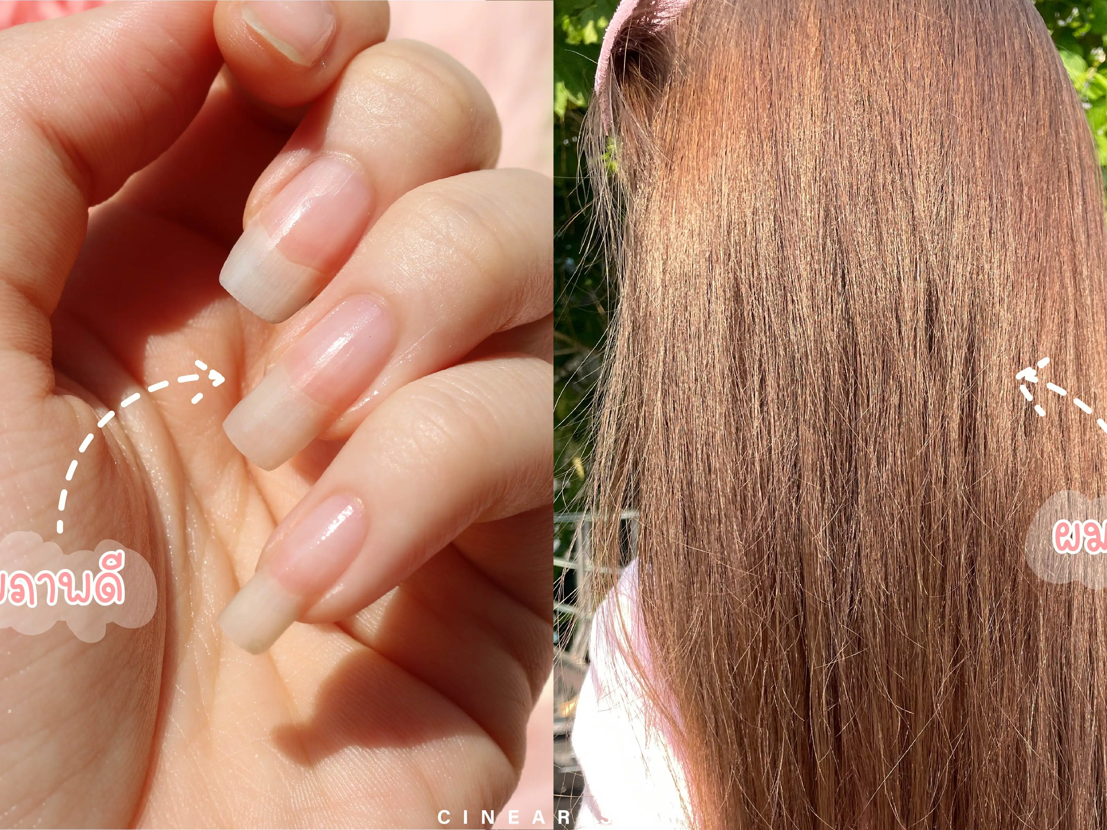 อาหารเสริมอะไรเนี่ย? ทำไมน่ารักหยั่งงี้?!😍💖🧸 | แกลเลอรีที่โพสต์โดย cinearism💀 | Lemon8