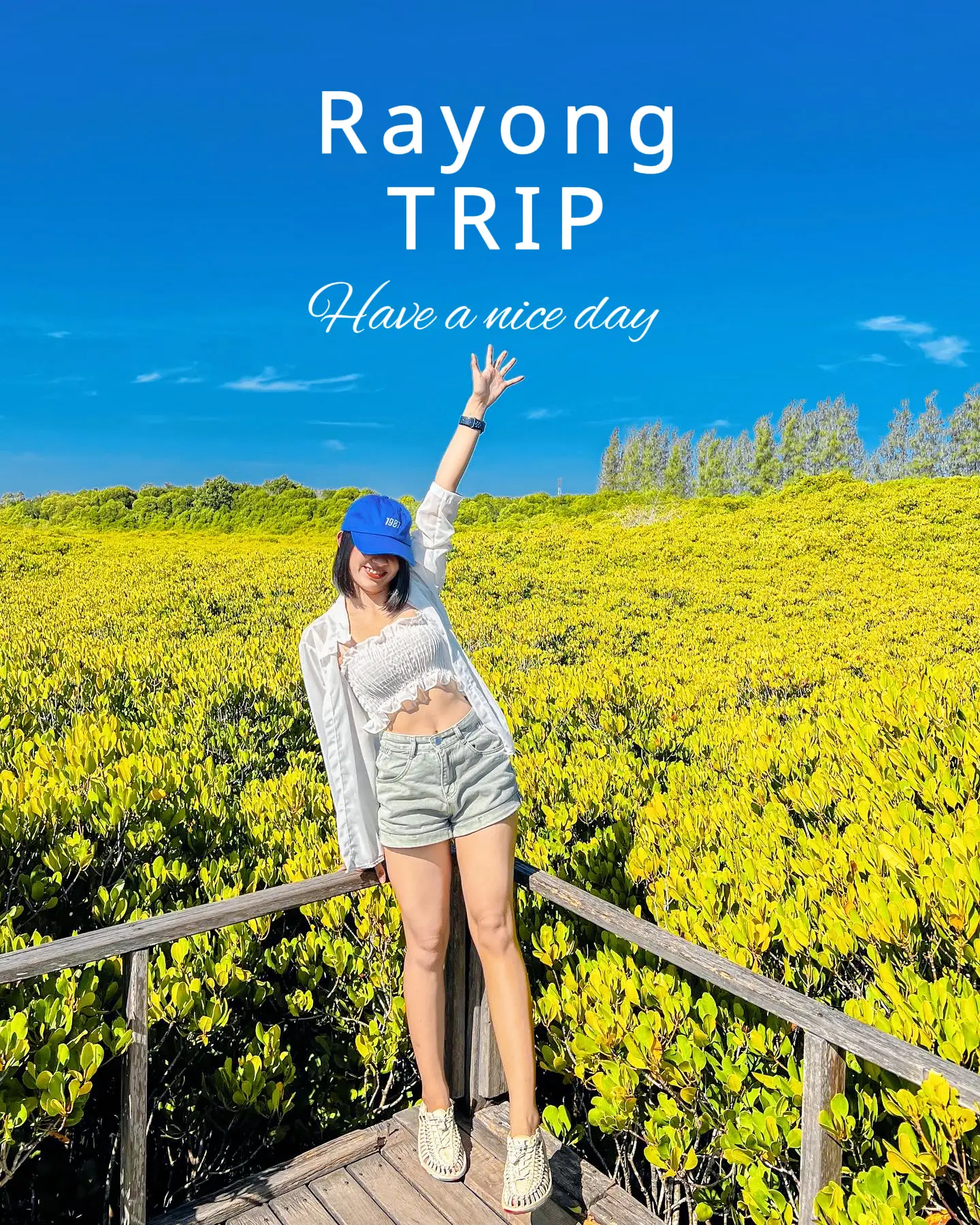 ทุ่งโปร่งทอง จ.ระยอง | แกลเลอรีที่โพสต์โดย SnookBio | Lemon8