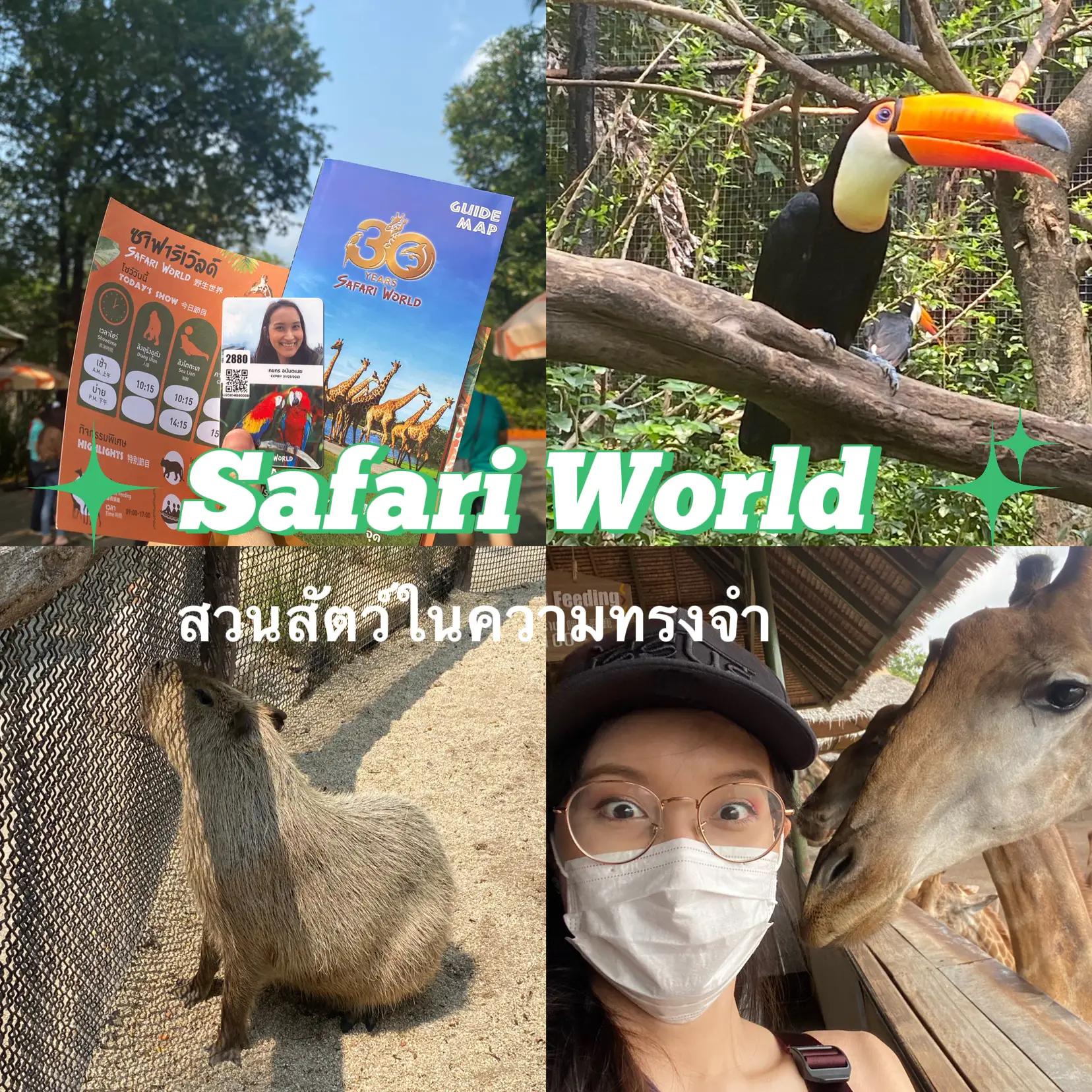 ระลึกความทรงจำวัยเด็ก ที่ Safari World 🦁 | แกลเลอรีที่โพสต์โดย ...