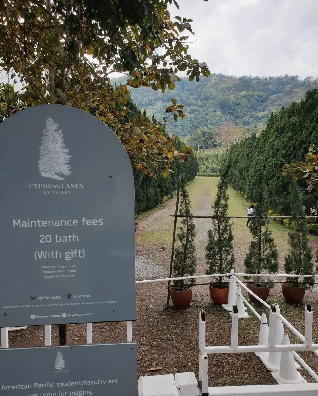 คาเฟ่ Cypress lanes - เชียงใหม่ | แกลเลอรีที่โพสต์โดย me.c | Lemon8