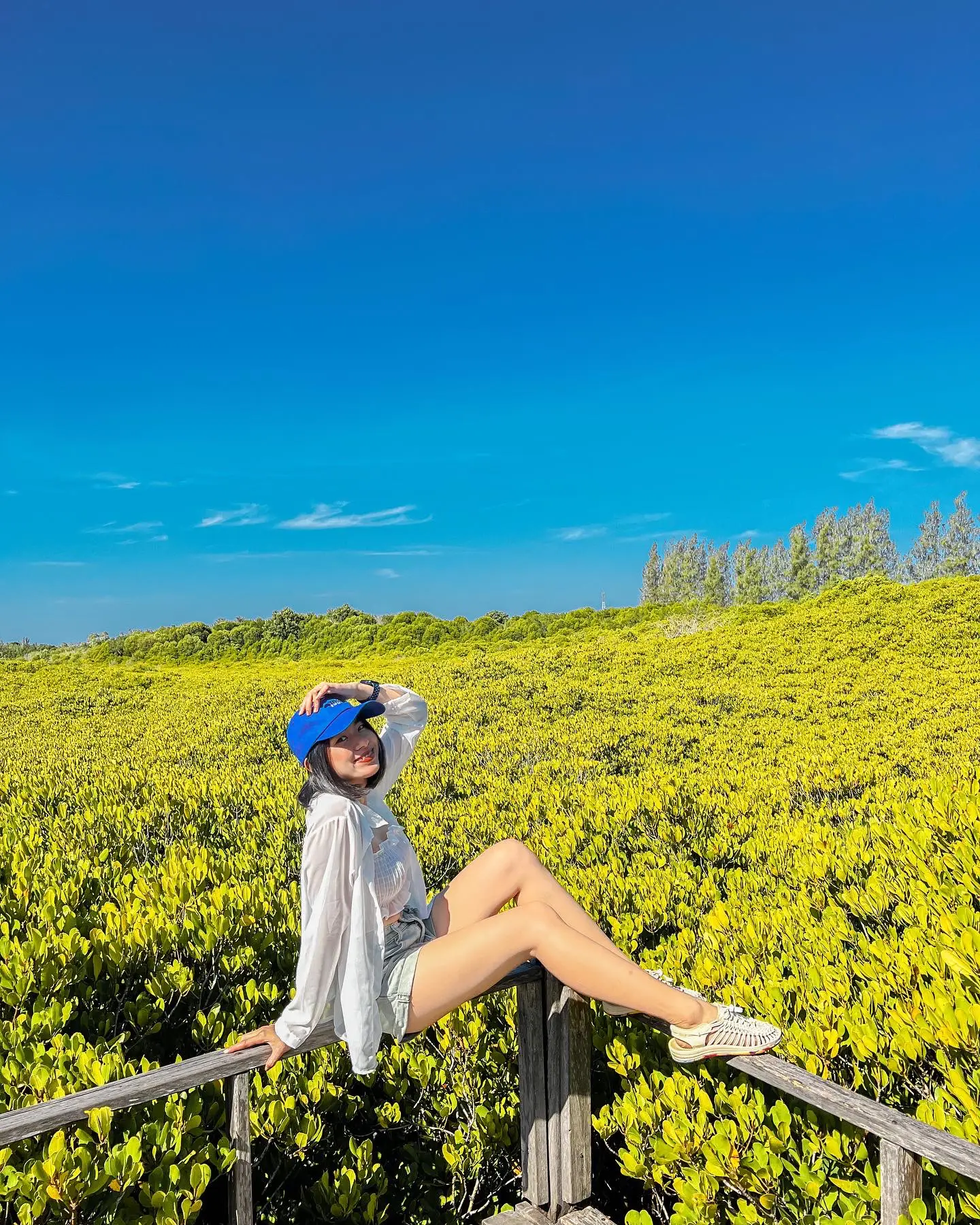 ทุ่งโปร่งทอง จ.ระยอง | แกลเลอรีที่โพสต์โดย SnookBio | Lemon8