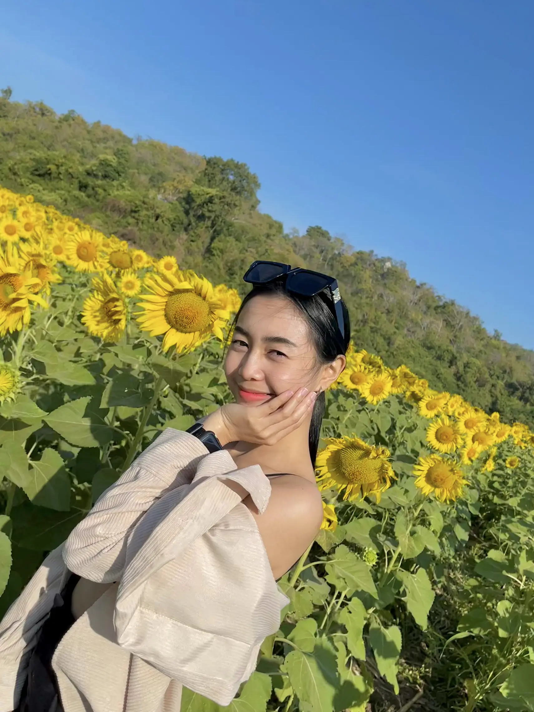 ณ ทุ่งทานตะวัน ต.แตง ~ | แกลเลอรีที่โพสต์โดย AUN_AUN | Lemon8