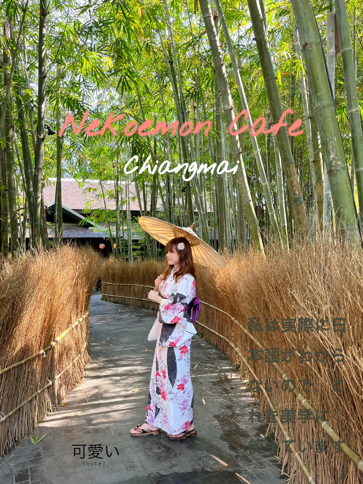 คาเฟ่เชียงใหม่ที่ฟีลอยู่ญี่ปุ่นสุดๆ! Nekoamon Cafe Chiangmai ⛩ | แกลเลอ ...