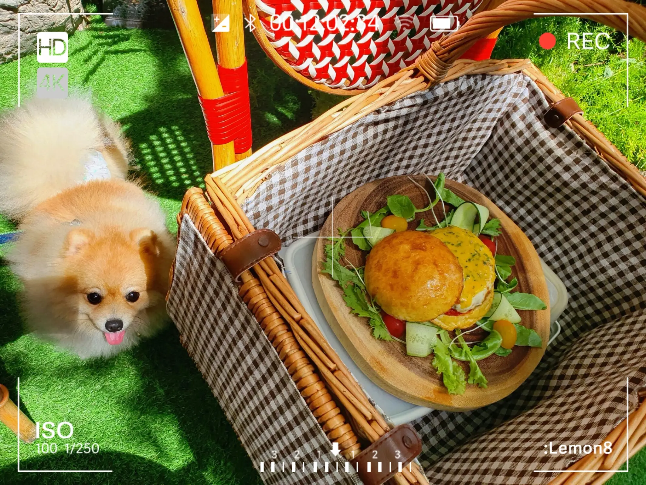 Monday is yellow 🌼 | แกลเลอรีที่โพสต์โดย Pimm | Lemon8