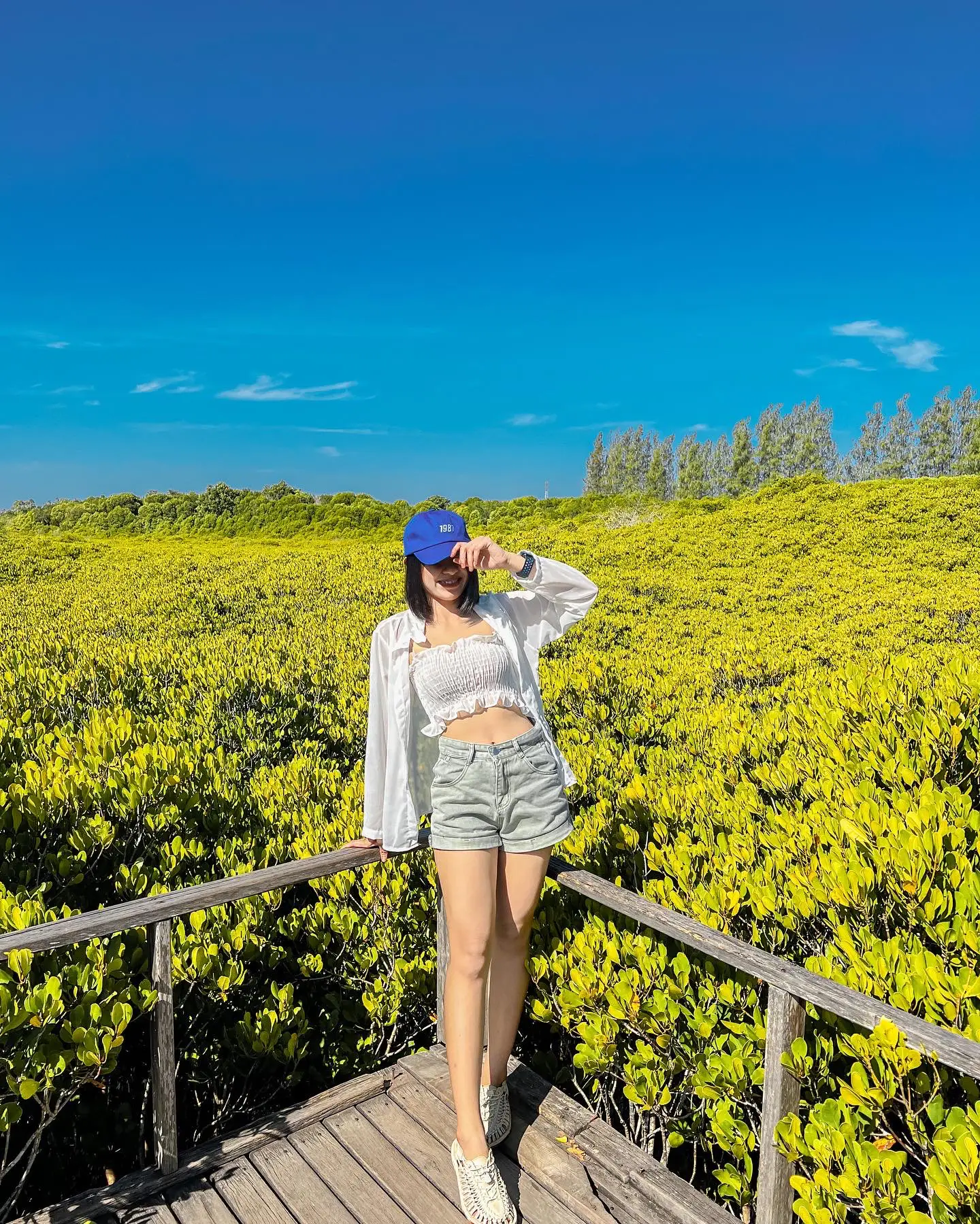 ทุ่งโปร่งทอง จ.ระยอง | แกลเลอรีที่โพสต์โดย SnookBio | Lemon8