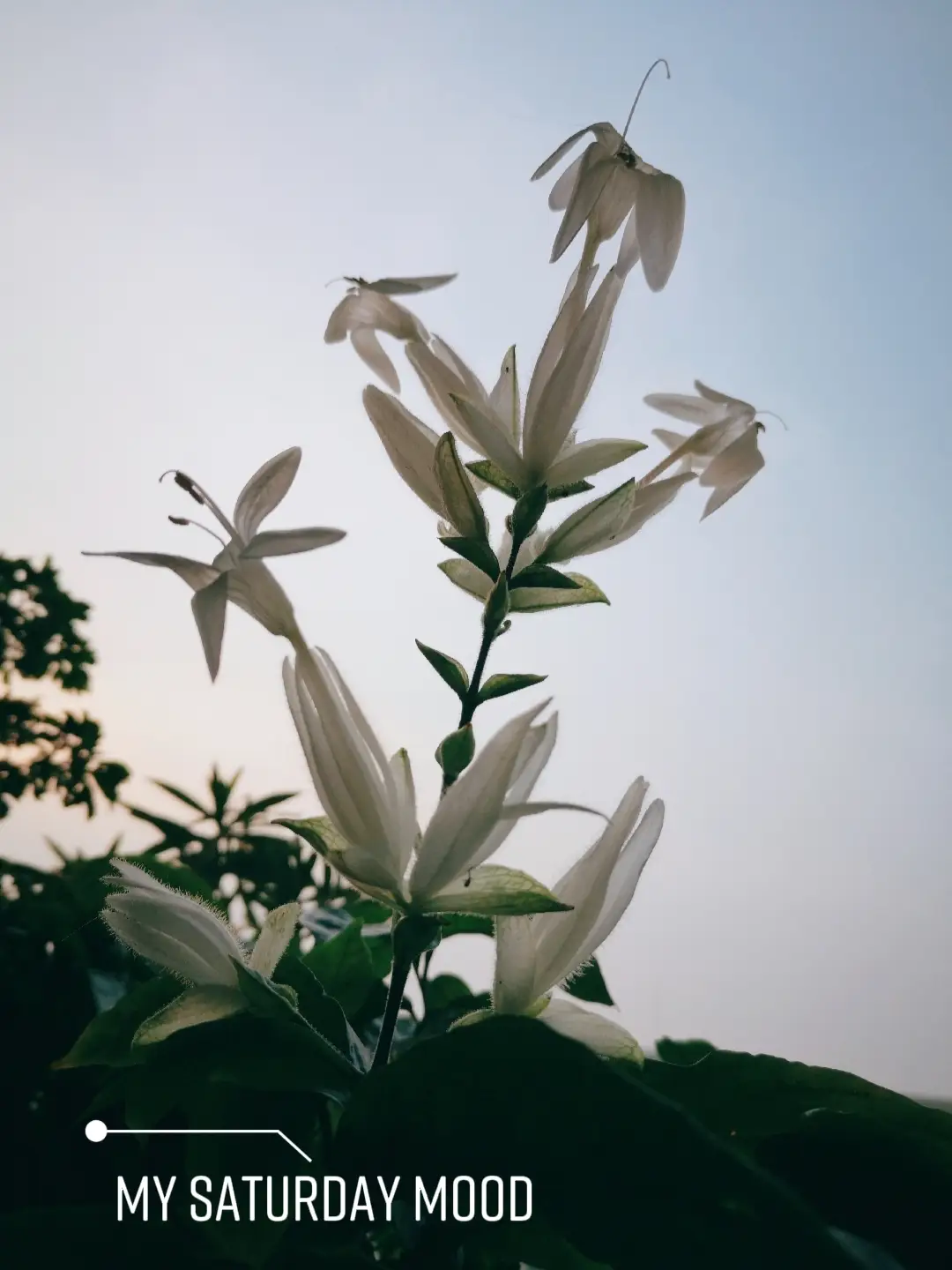 My Saturday mood :) 12.2.22 | แกลเลอรีที่โพสต์โดย PloyLaLoO | Lemon8