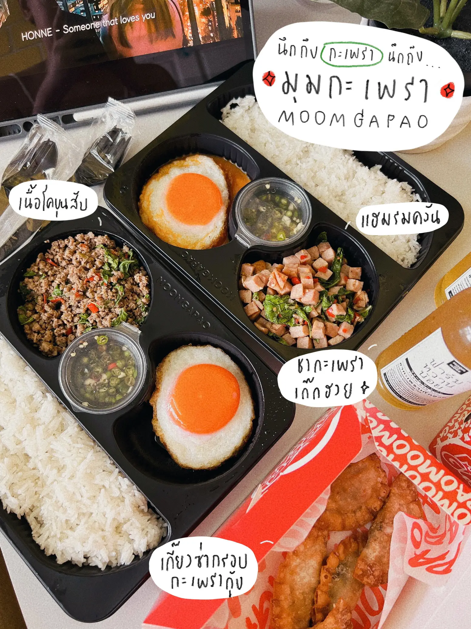 นึกถึงกะเพรา นึกถึงมุมกะเพรา ( Moomgapao ) | แกลเลอรีที่โพสต์โดย ก็พูดพูดไปงั้น | Lemon8