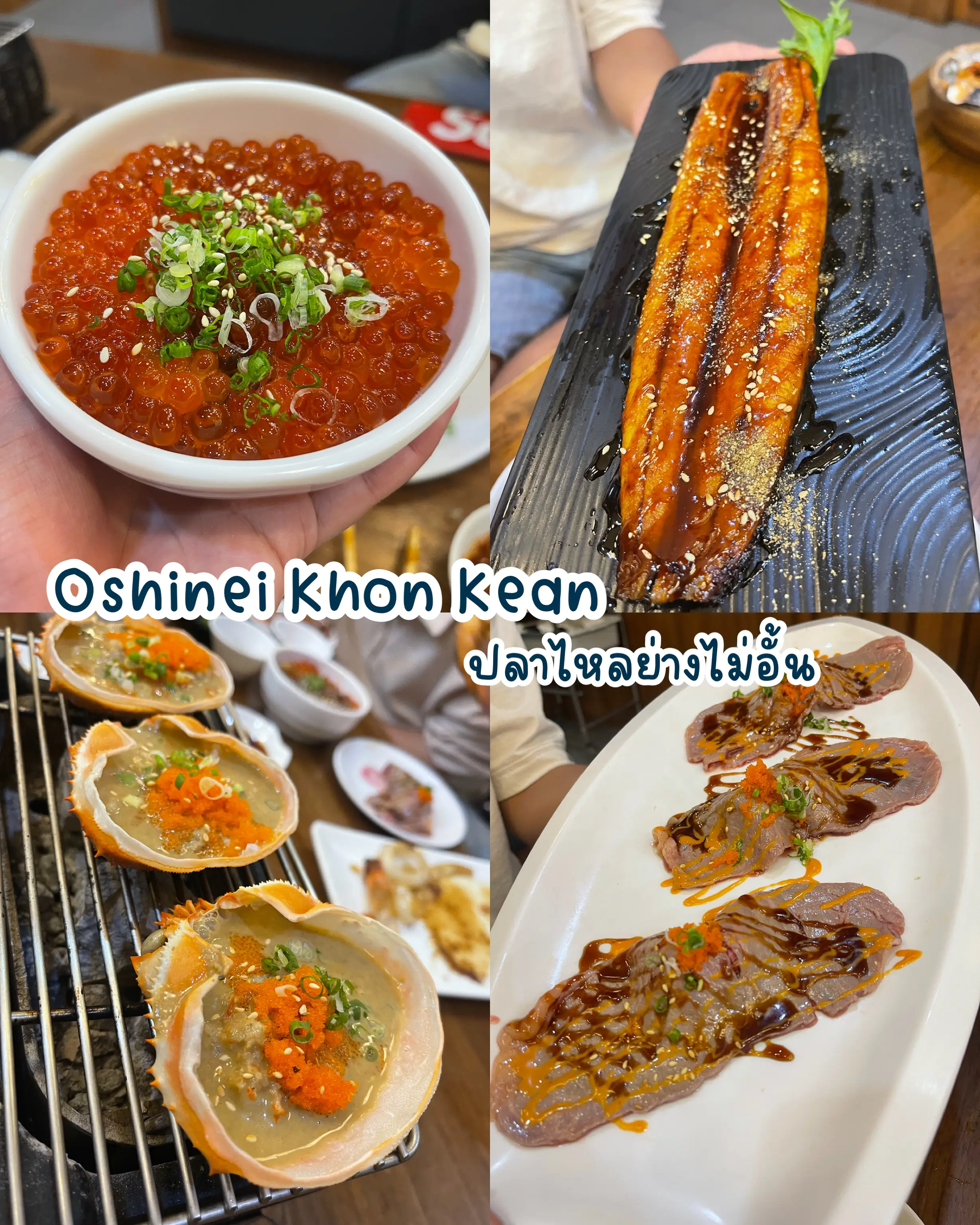 OSHINEI • Buffet อาหารญี่ปุ่นร้านประจำ | แกลเลอรีที่โพสต์โดย NICENICE ...
