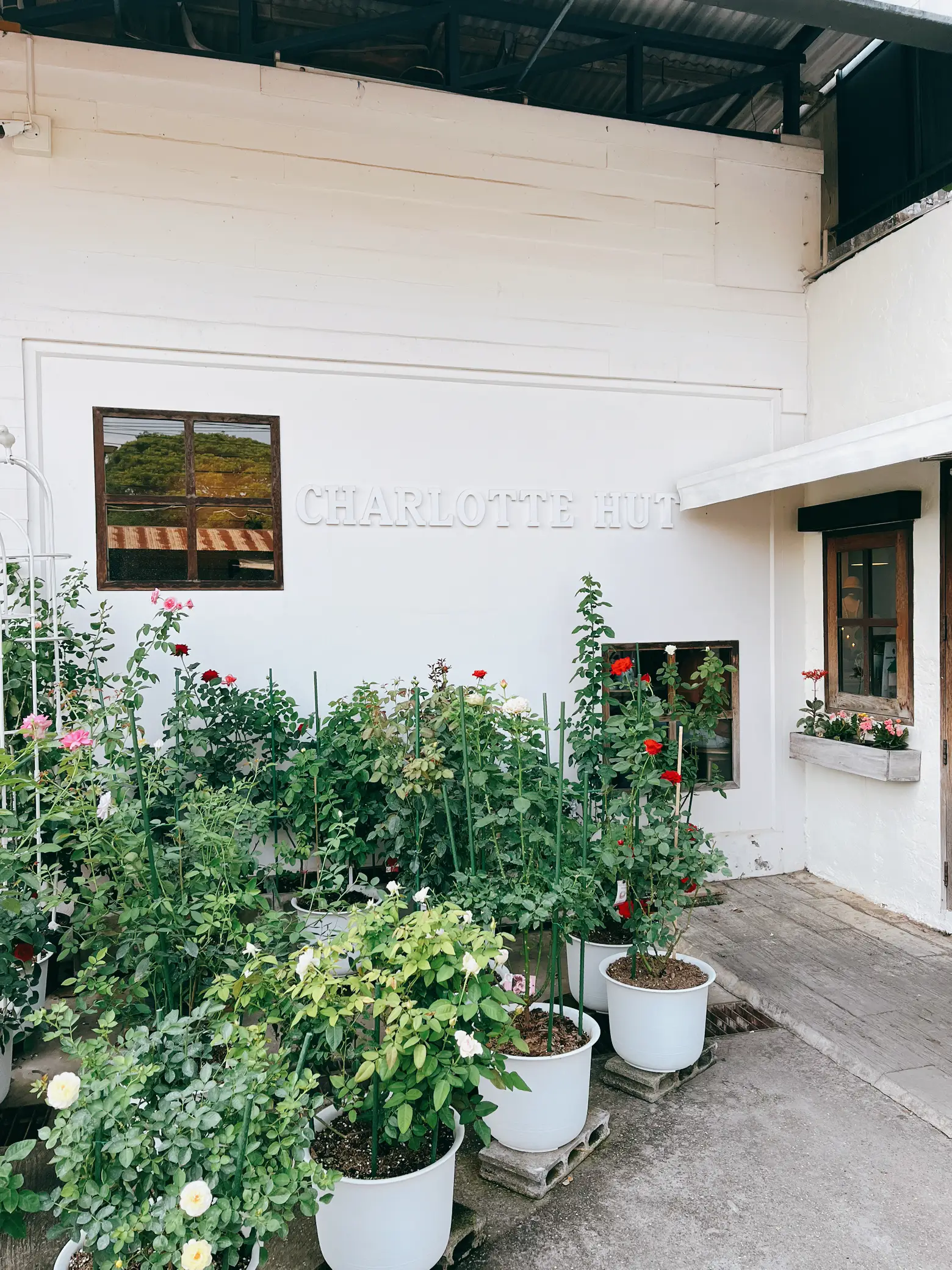 Charlotte hut coffee ร้านกาแฟ no.1 ของเมืองแพร่ ☕️ | แกลเลอรีที่โพสต์ ...