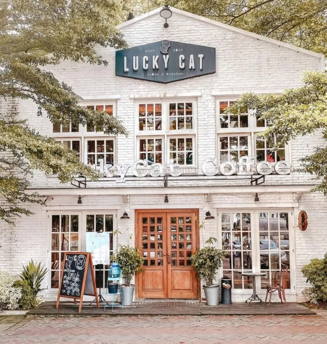"LUCKY CAT" COFFEE SHOP YANG LUCU DI JAKARTA!!! | Galeri diposting oleh ...