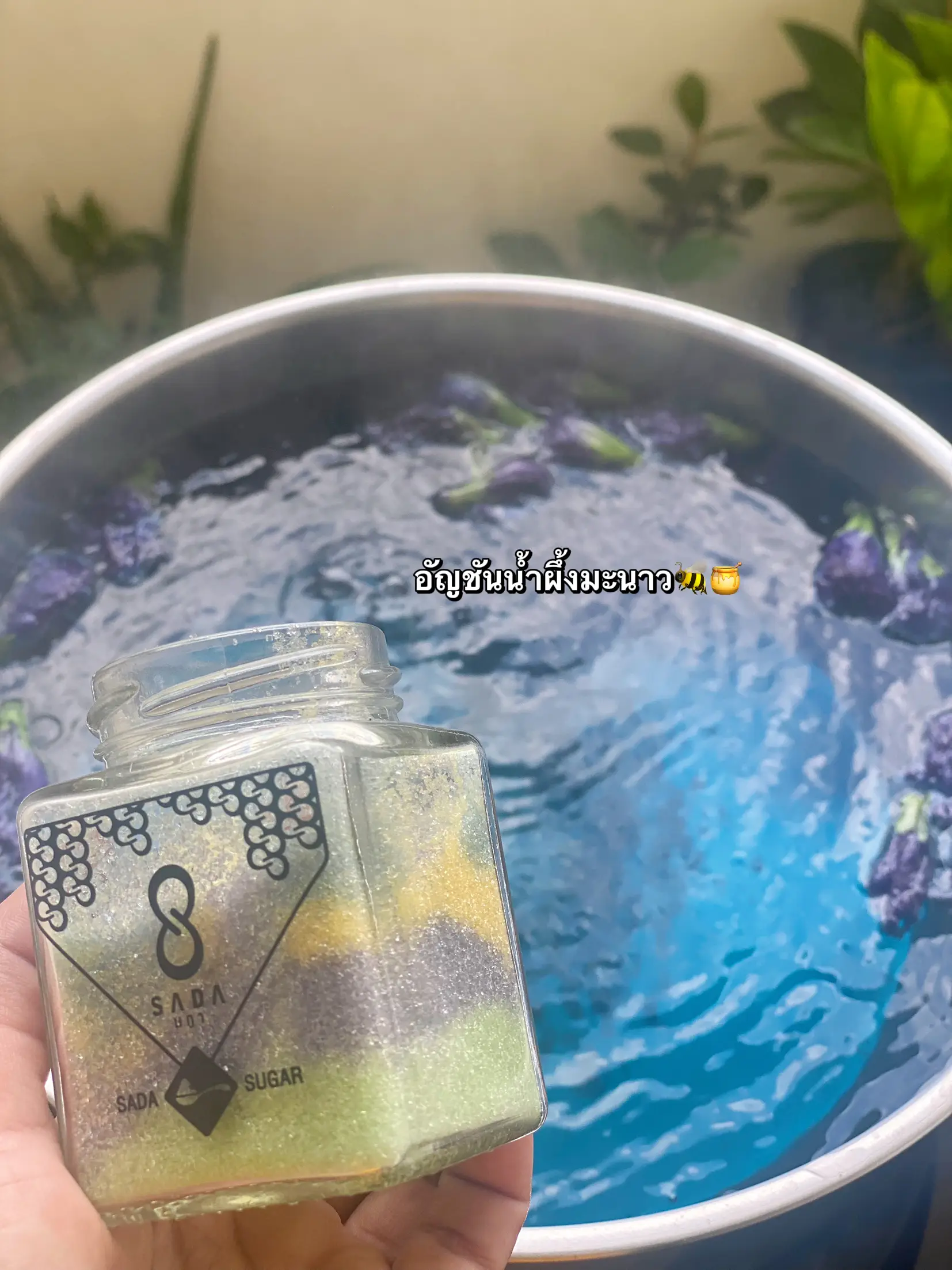 มาทำน้ำอัญชันน้ำผึ้งมะนาวกันคะ🐝🍯🍋 | แกลเลอรีที่โพสต์โดย By ℙ𝔸ℕ𝔾ℍ𝕆𝕄 | Lemon8