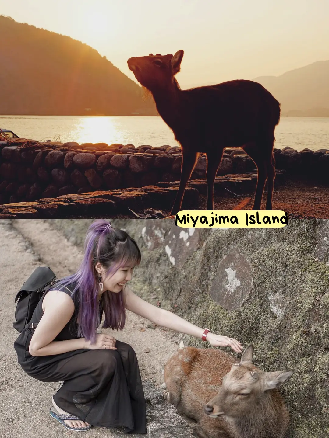 what’s there in HIROSHIMA?! 🇯🇵 | Gallery posted by yt luna 🍰 | Lemon8