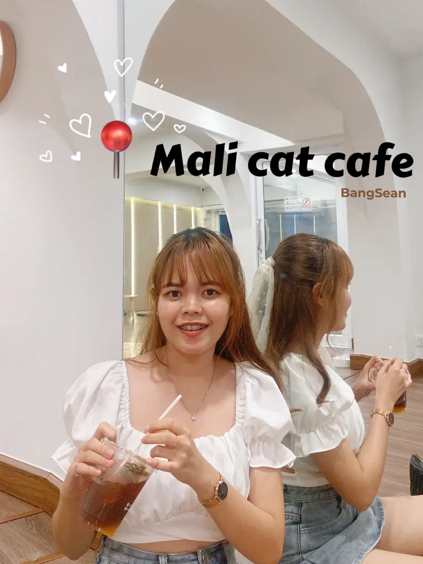 🐈Mali cat cafe| คาเฟ่แมวบางแสน พิกัดหน้าม.บูรพา📌 | แกลเลอรีที่โพสต์โดย Miint | Lemon8