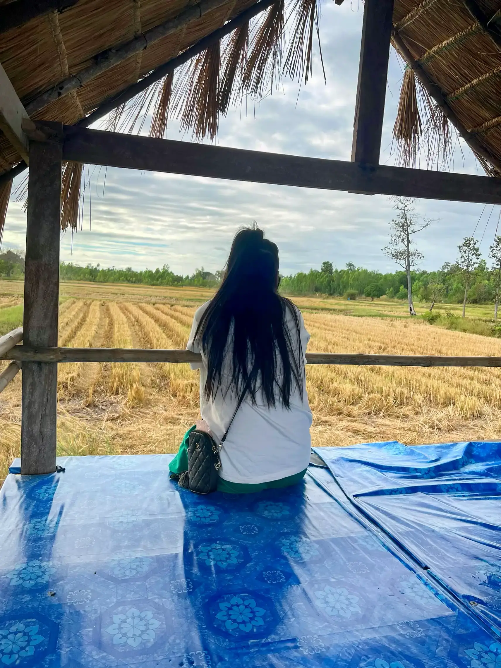 #ติดเทรนด์ #ติดบ้านVSติดเที่ยว | Gallery posted by Tookkata | Lemon8