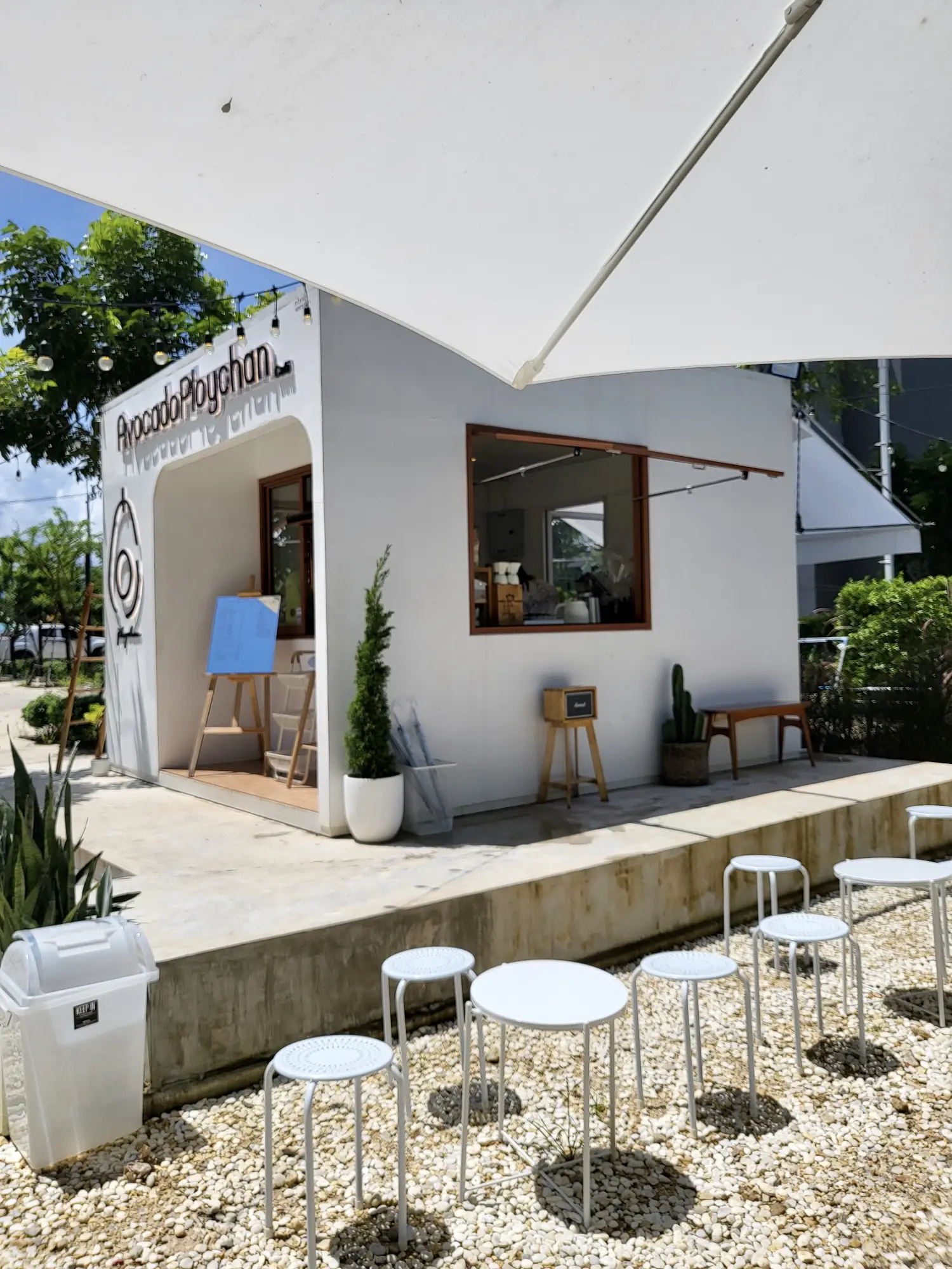Cafe cado - การค้นหาใน Lemon8